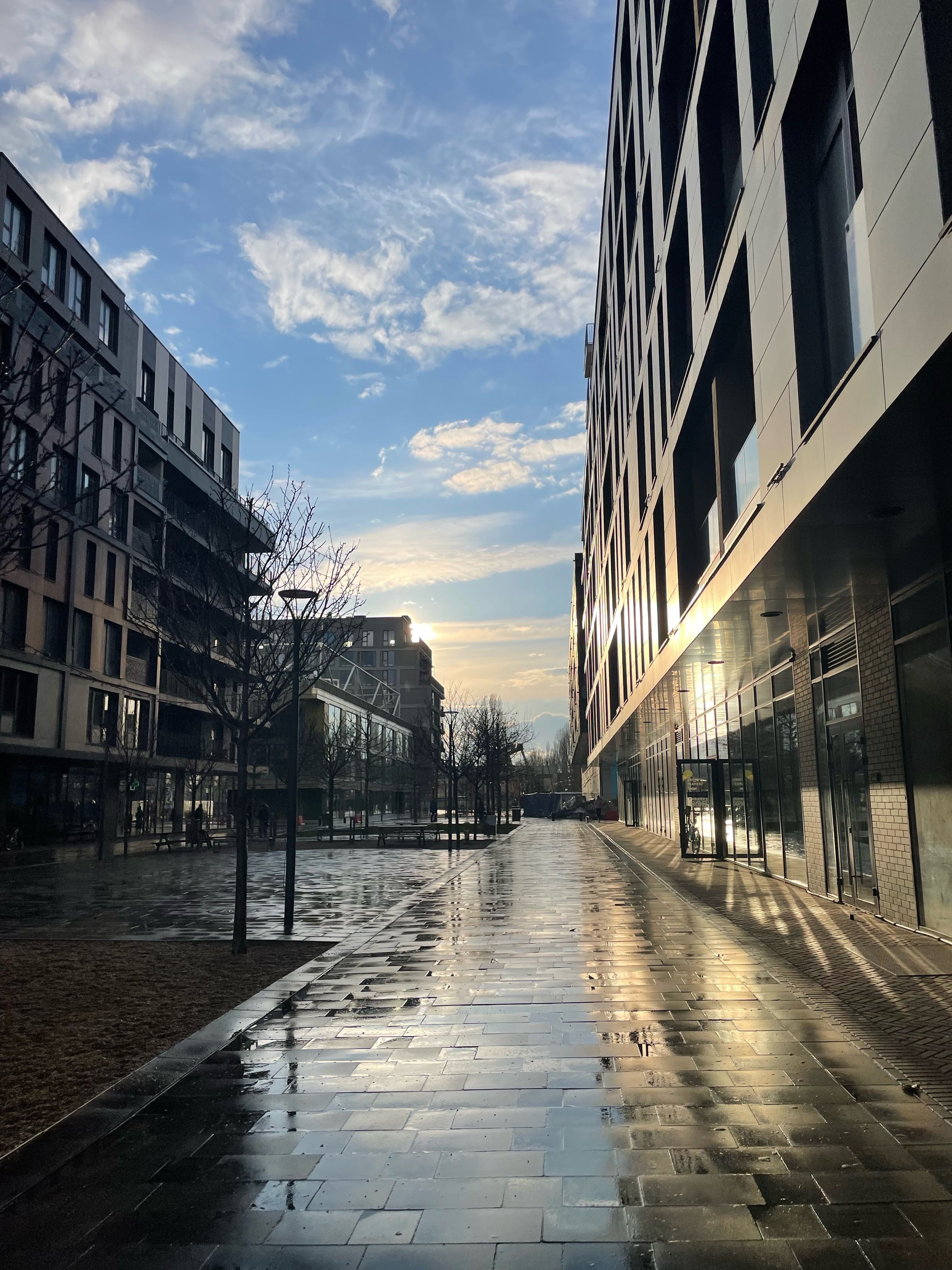 Wet Pavement between Buildings after Rain · Free Stock Photo