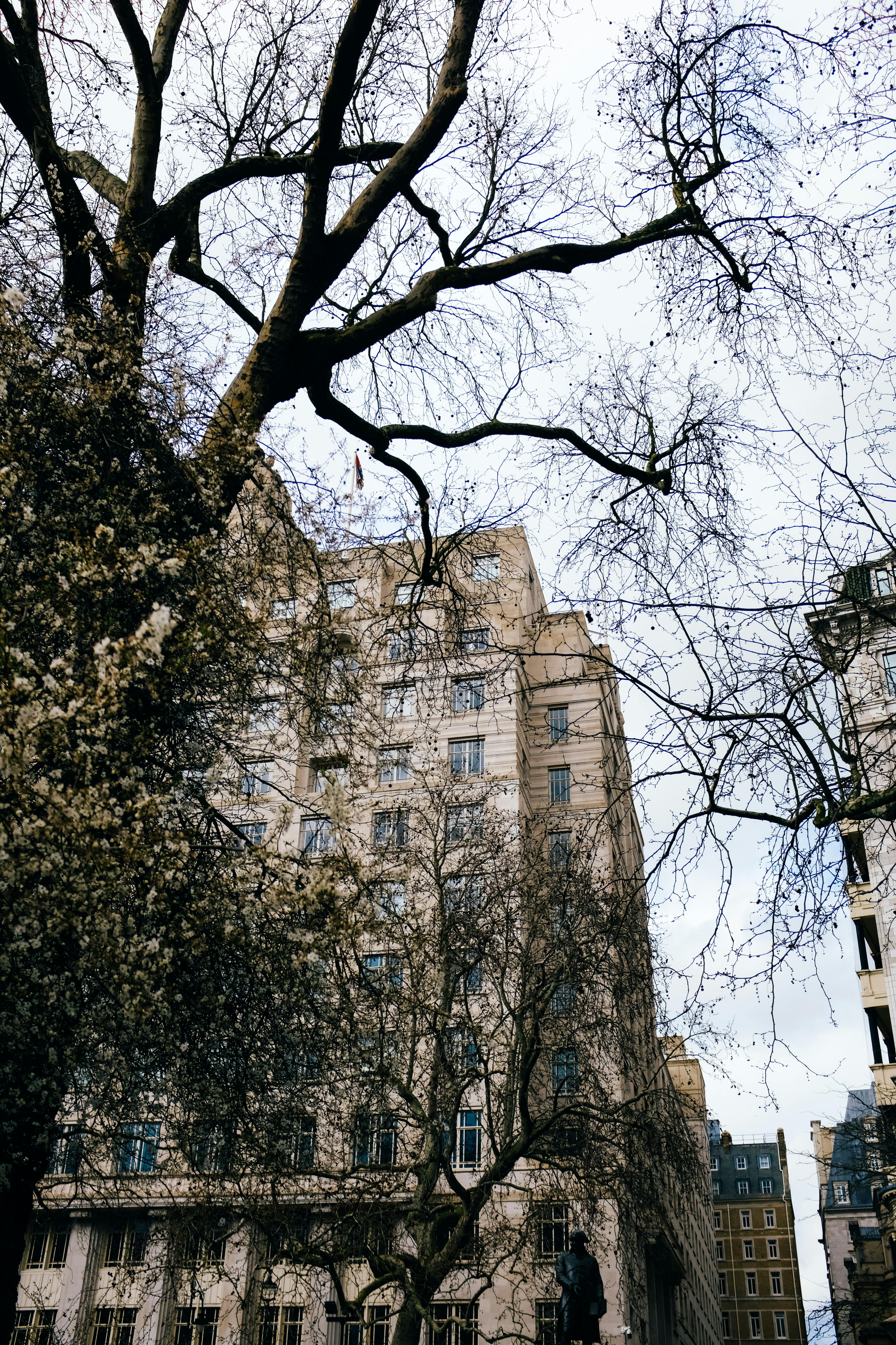 History Meets Modern Photos, Download The BEST Free History Meets ...