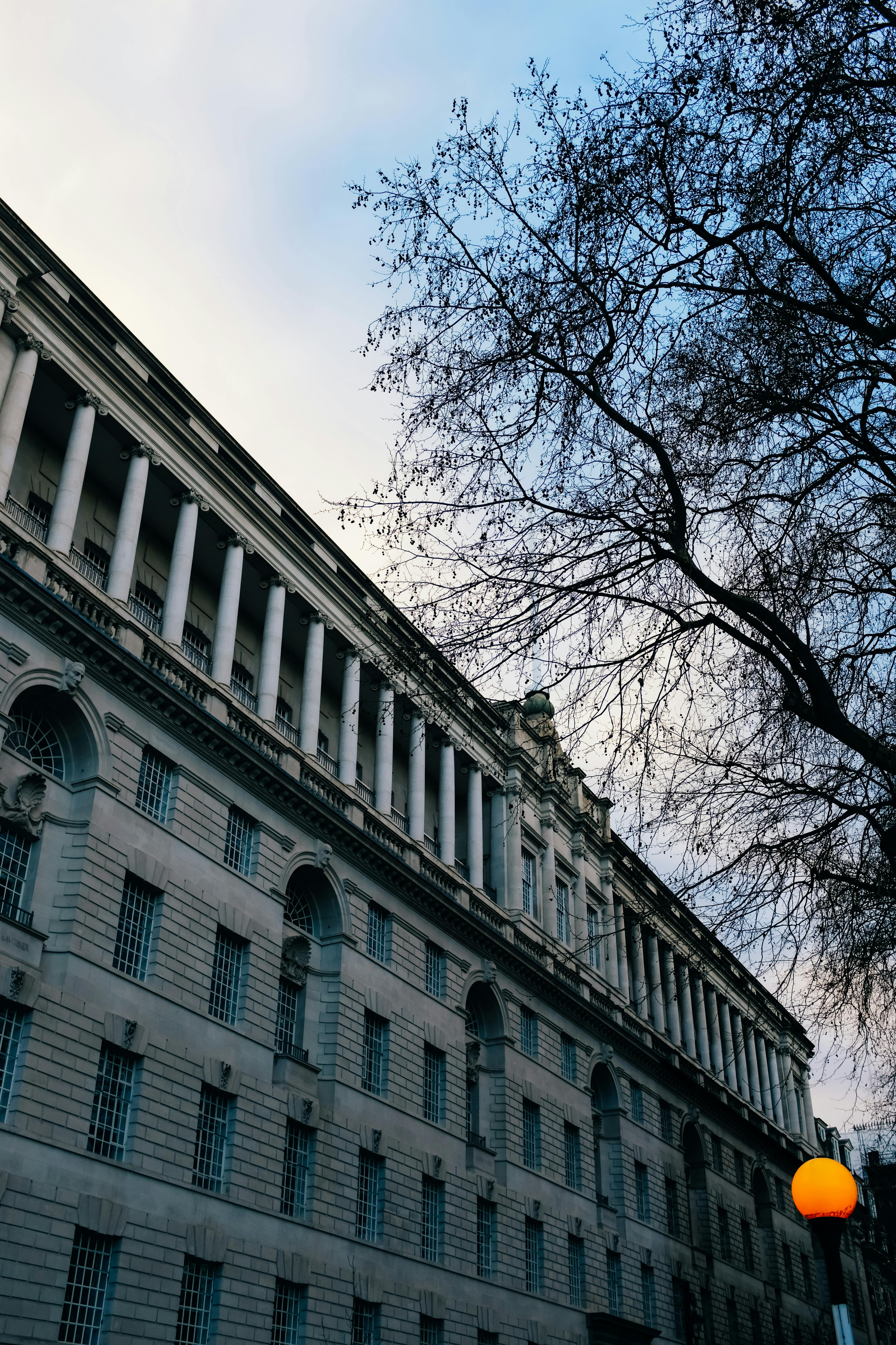 Tree near Building in Town · Free Stock Photo