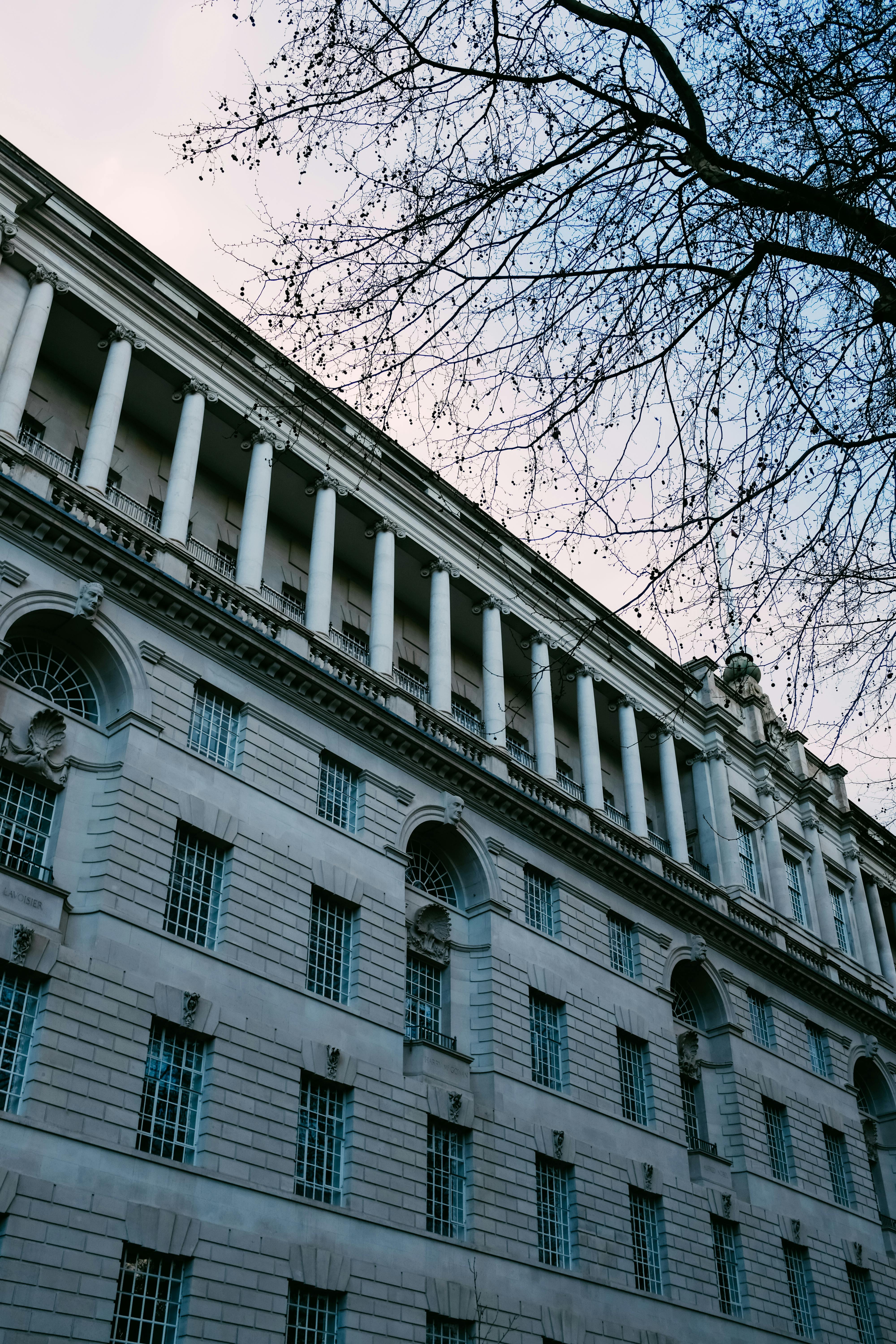 Tree Branches near Building · Free Stock Photo