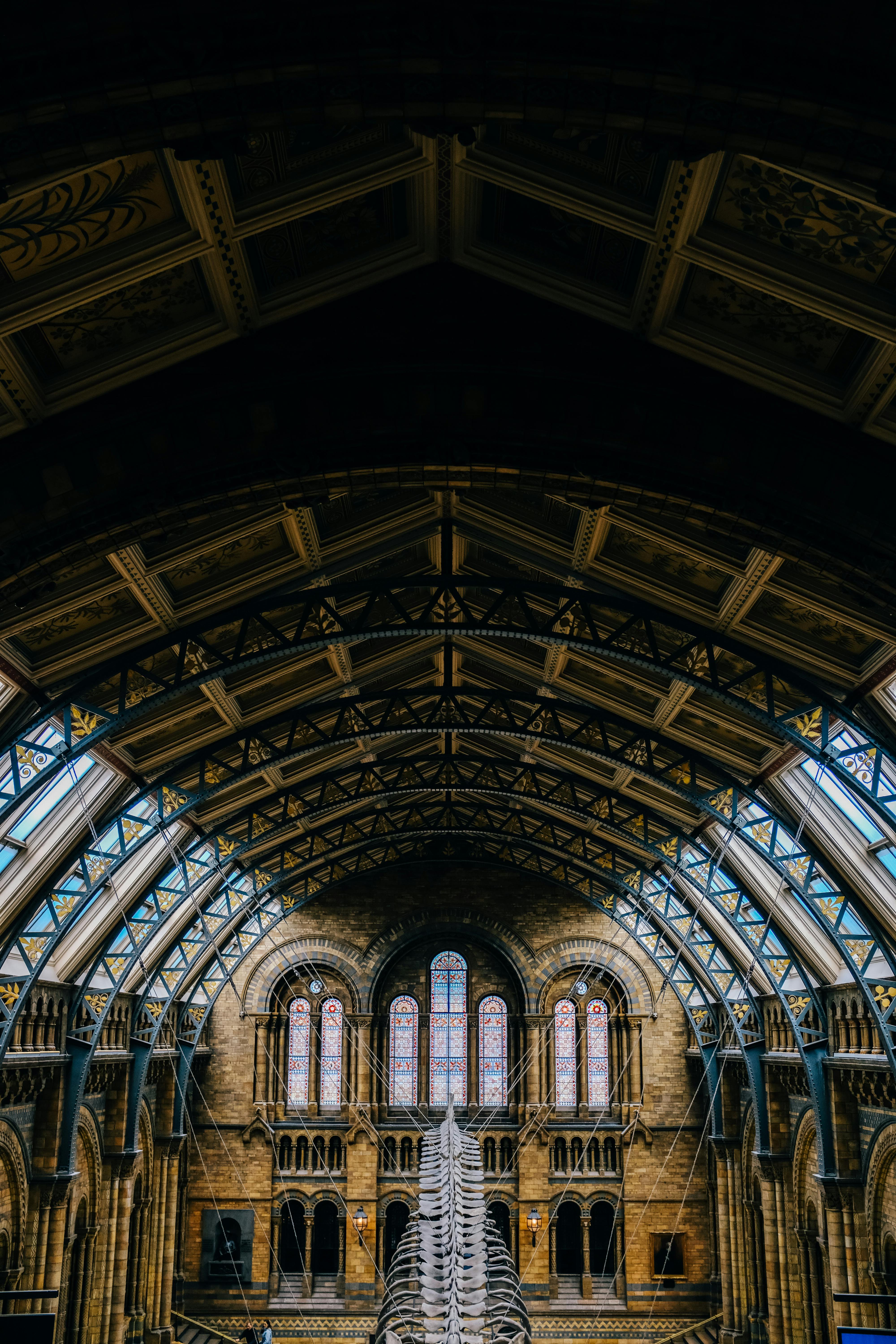 Ornamented Ceiling over Dinosaur Skeleton in Museum · Free Stock Photo