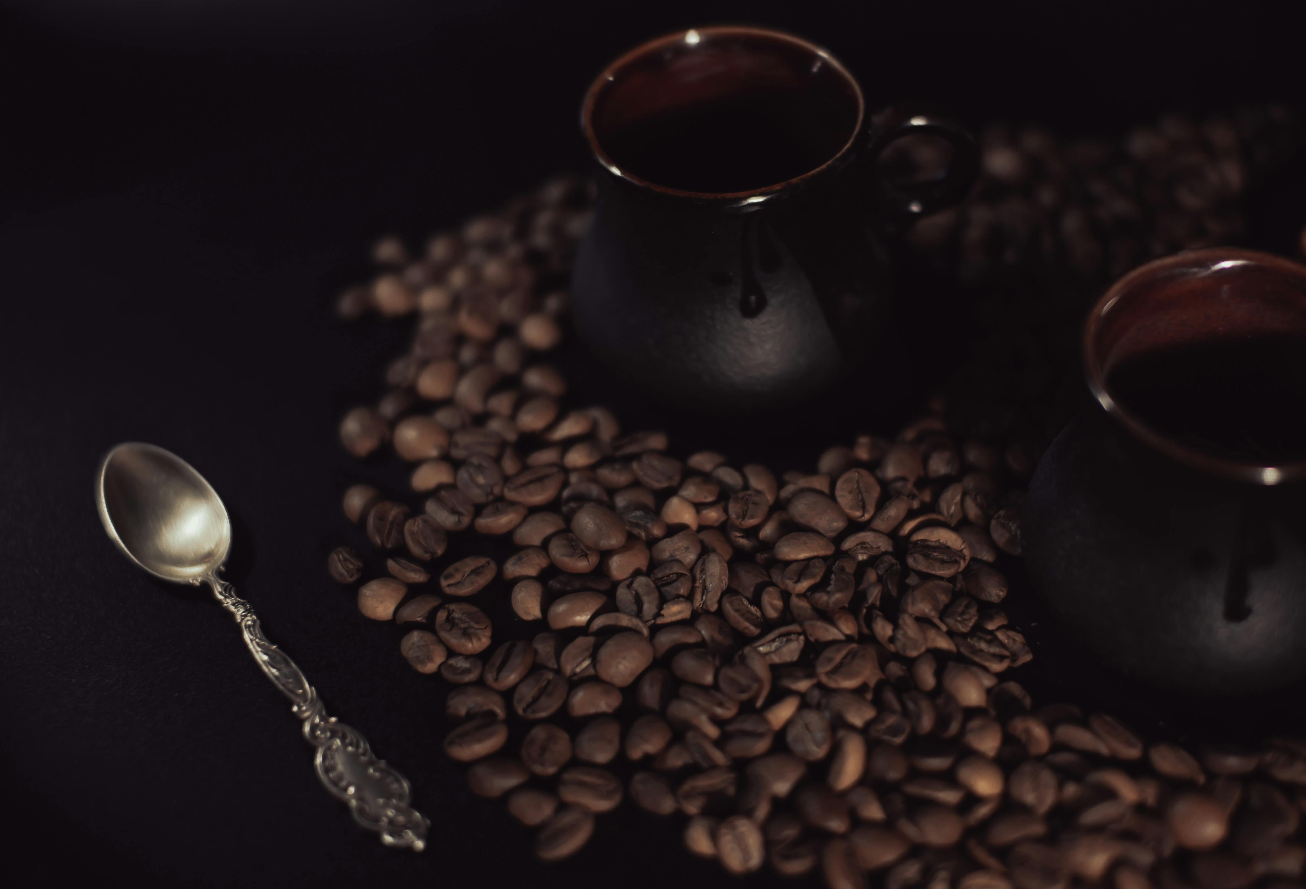 Beans on Spoons · Free Stock Photo