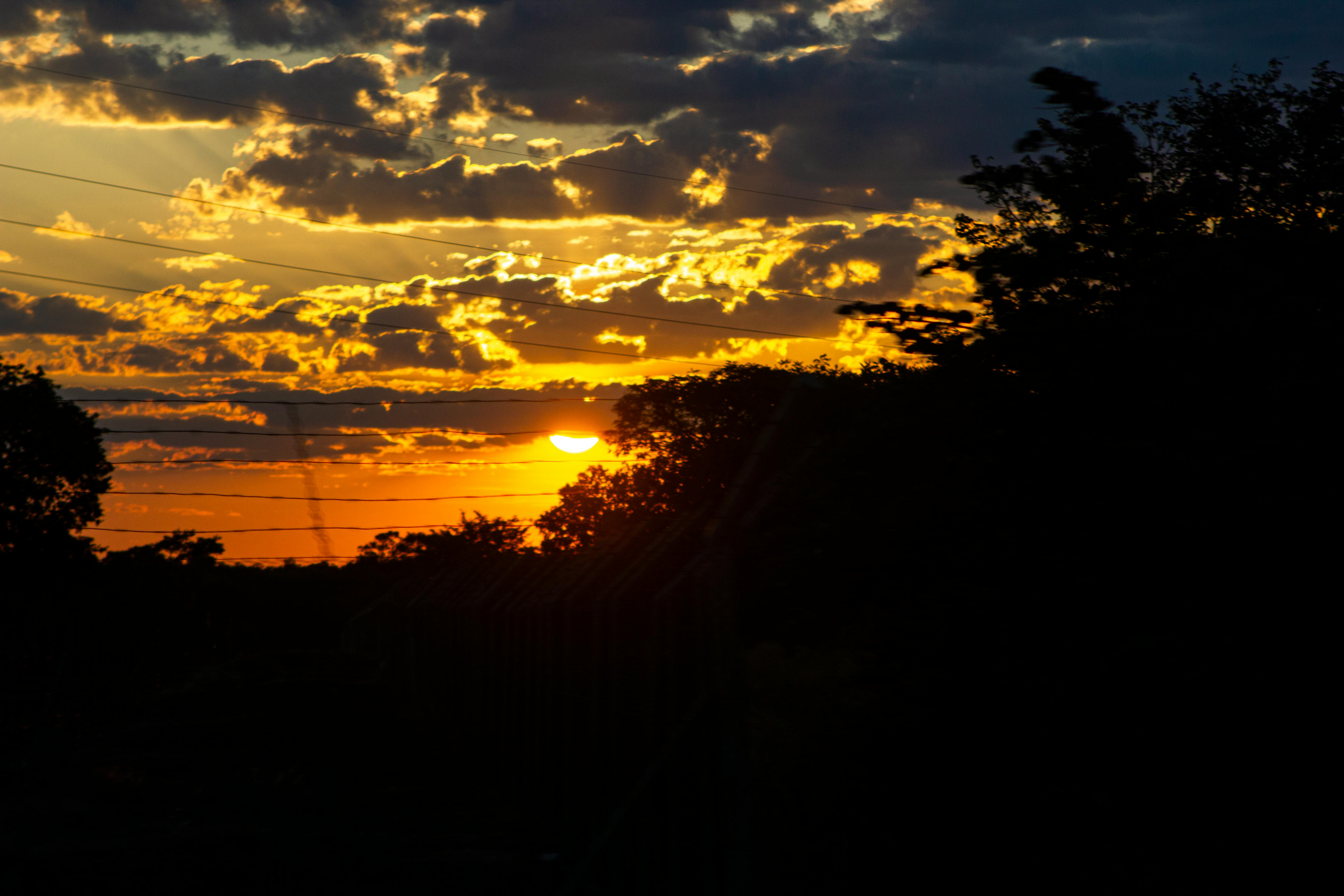 Noah Denhe - Fotoğrafçılık