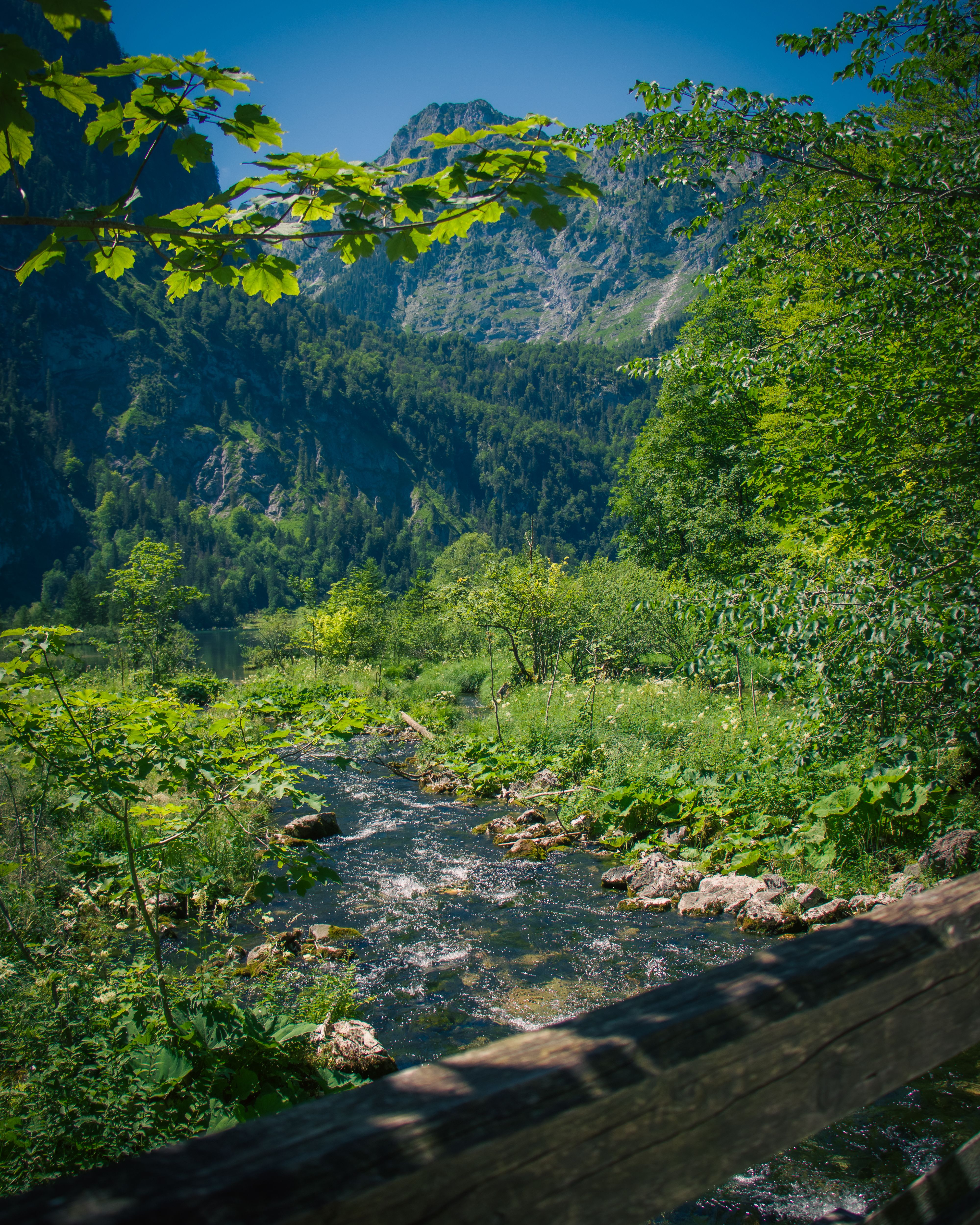 Summer Mountain Landscape with Stream · Free Stock Photo