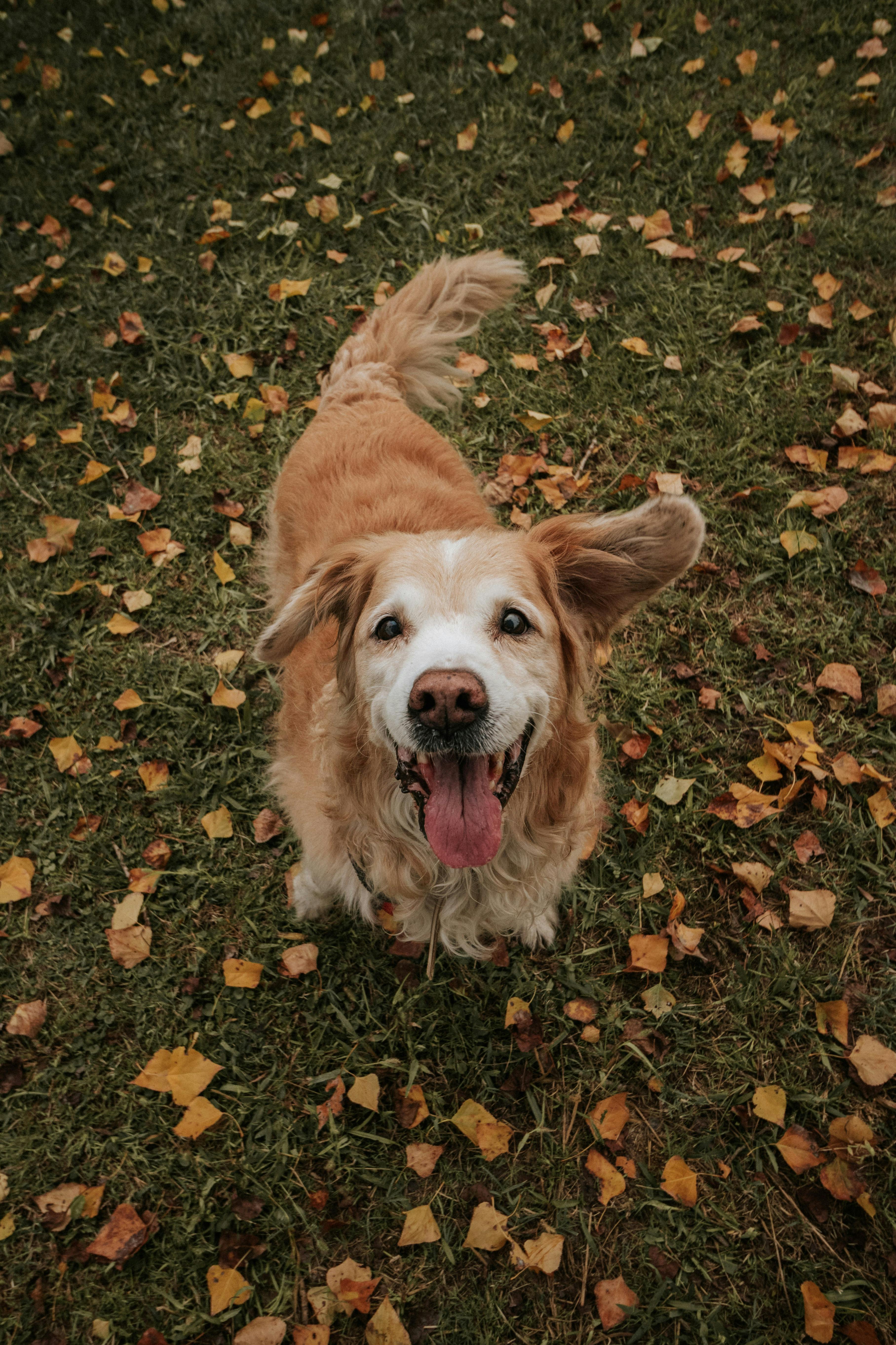 David Gari - Photography