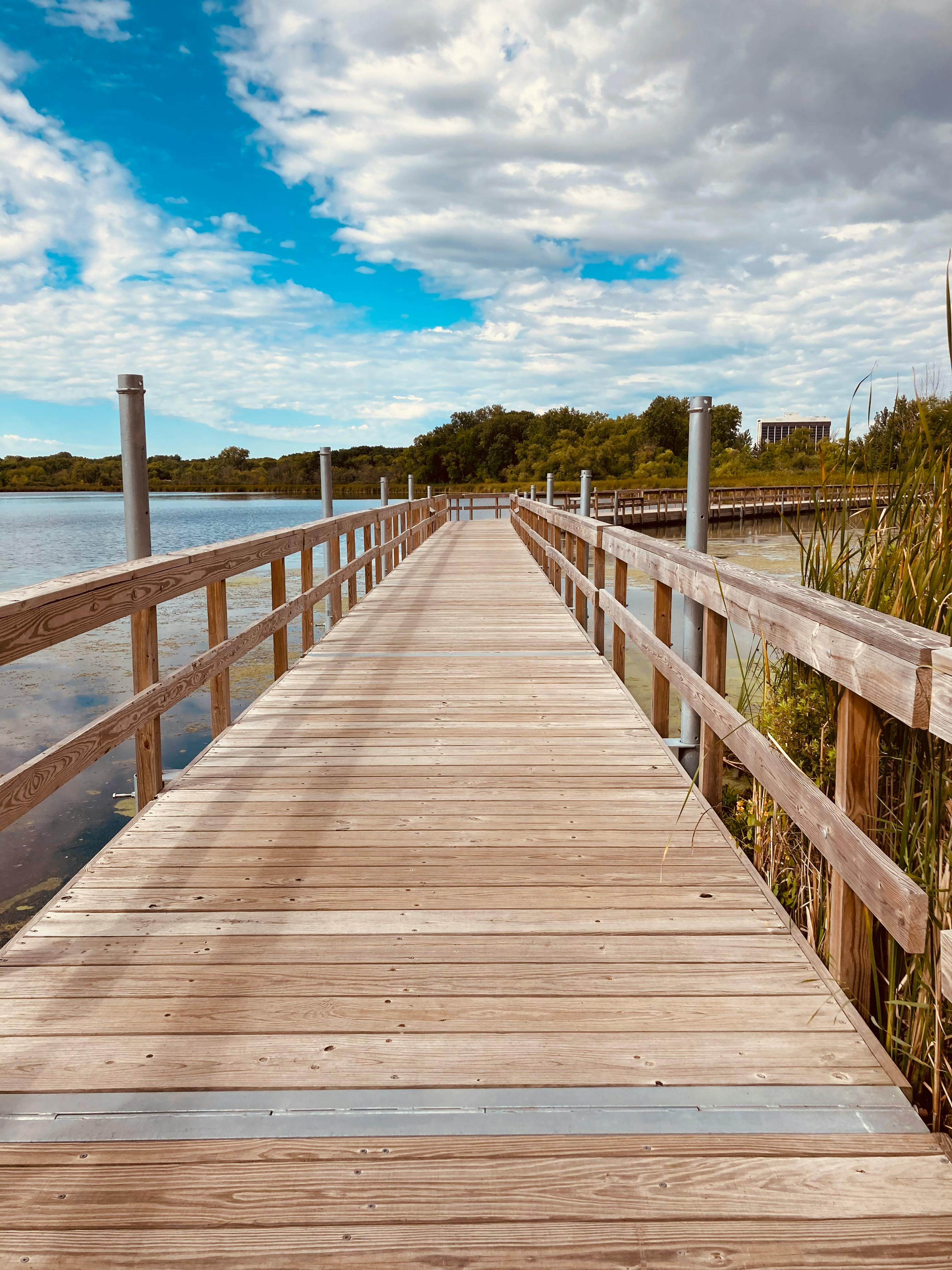 A Footbridge over a Lake · Free Stock Photo