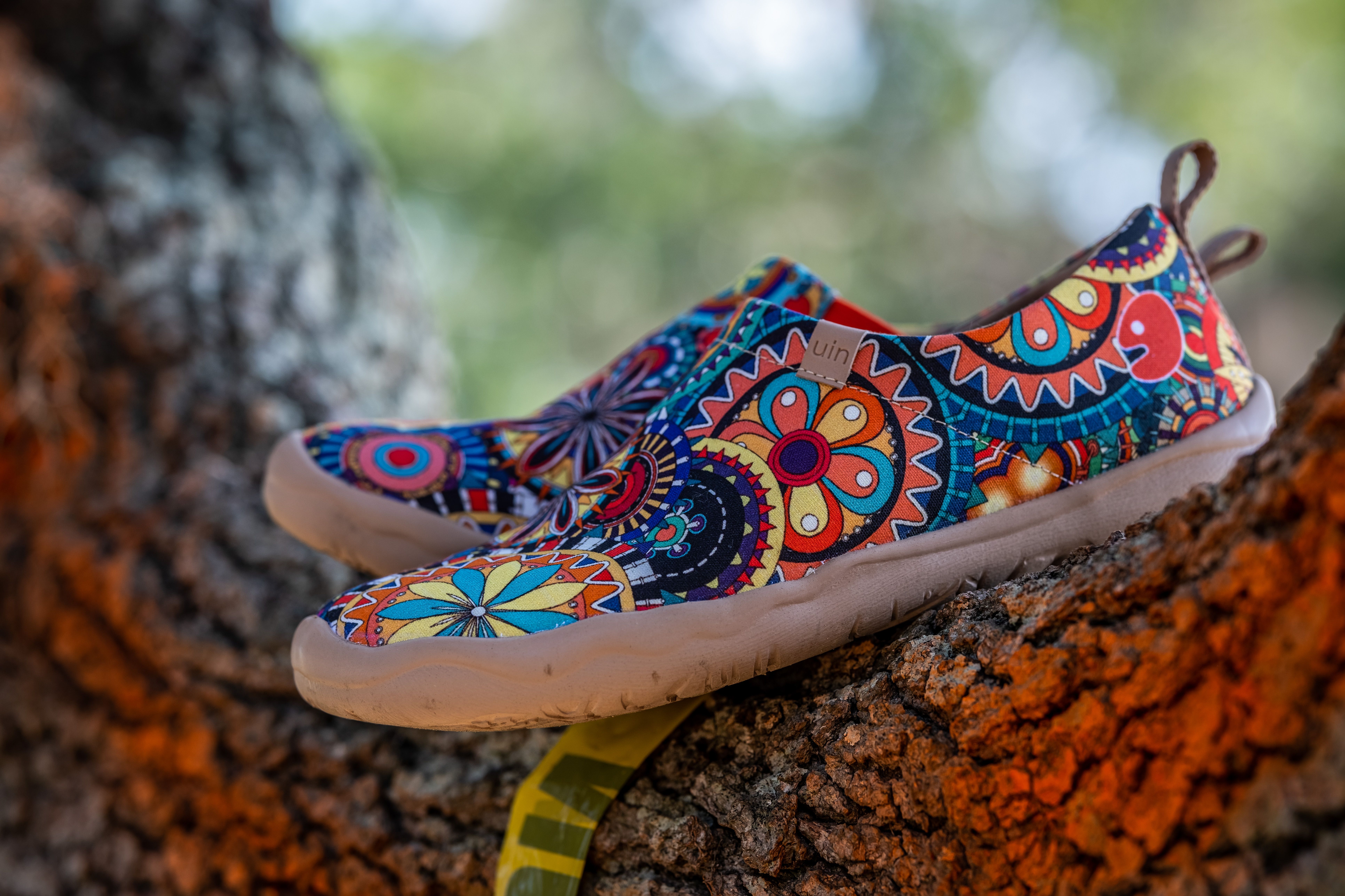 A pair of colorful shoes hanging from a tree · Free Stock Photo