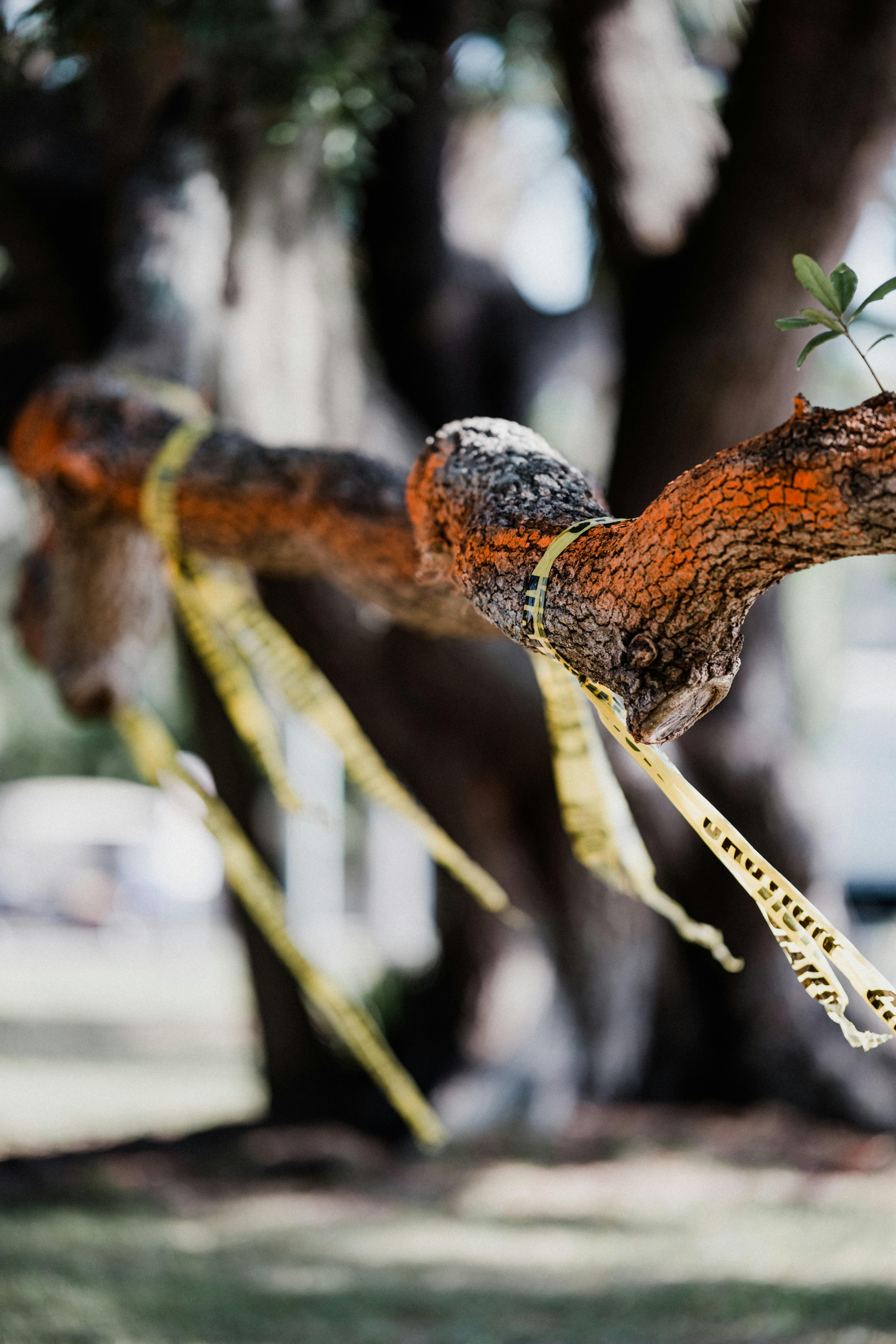 Slip And Fall Photos, Download The BEST Free Slip And Fall Stock Photos ...