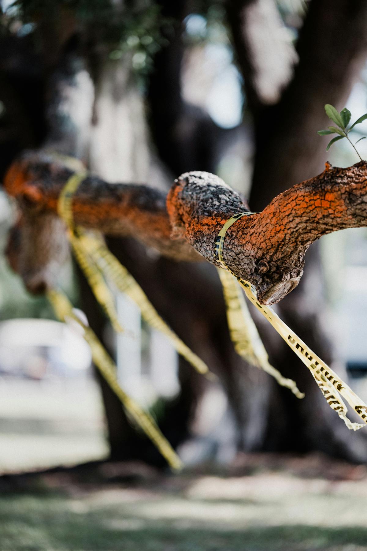 Perimeter Security Photos, Download The BEST Free Perimeter Security ...