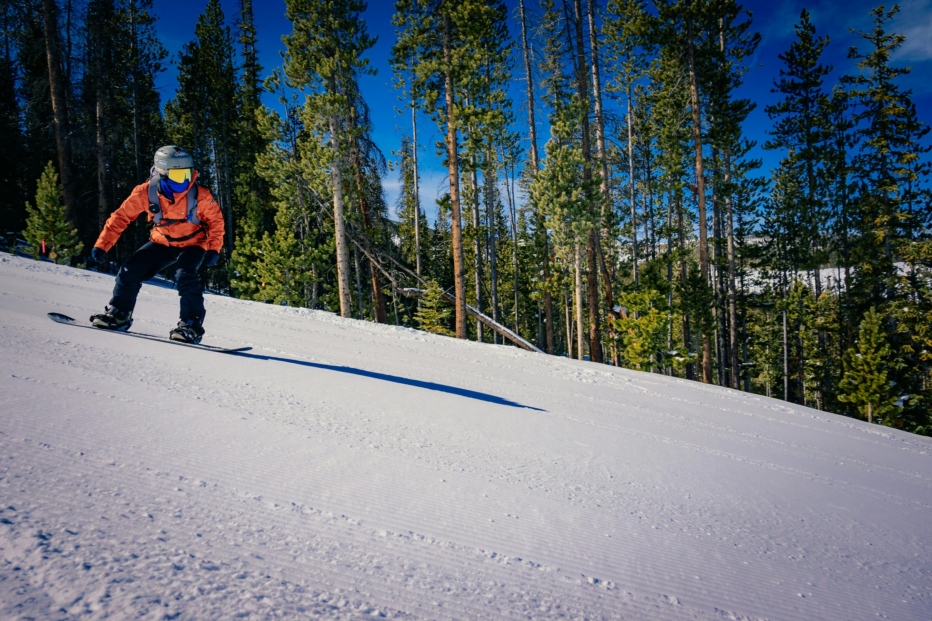 Snowboarder Gliding Down Forested Slope · Free Stock Photo