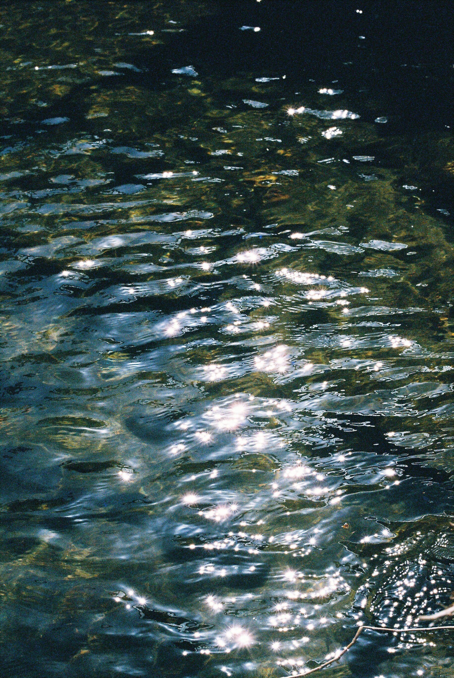 Shiny, Shallow Water in Lake · Free Stock Photo