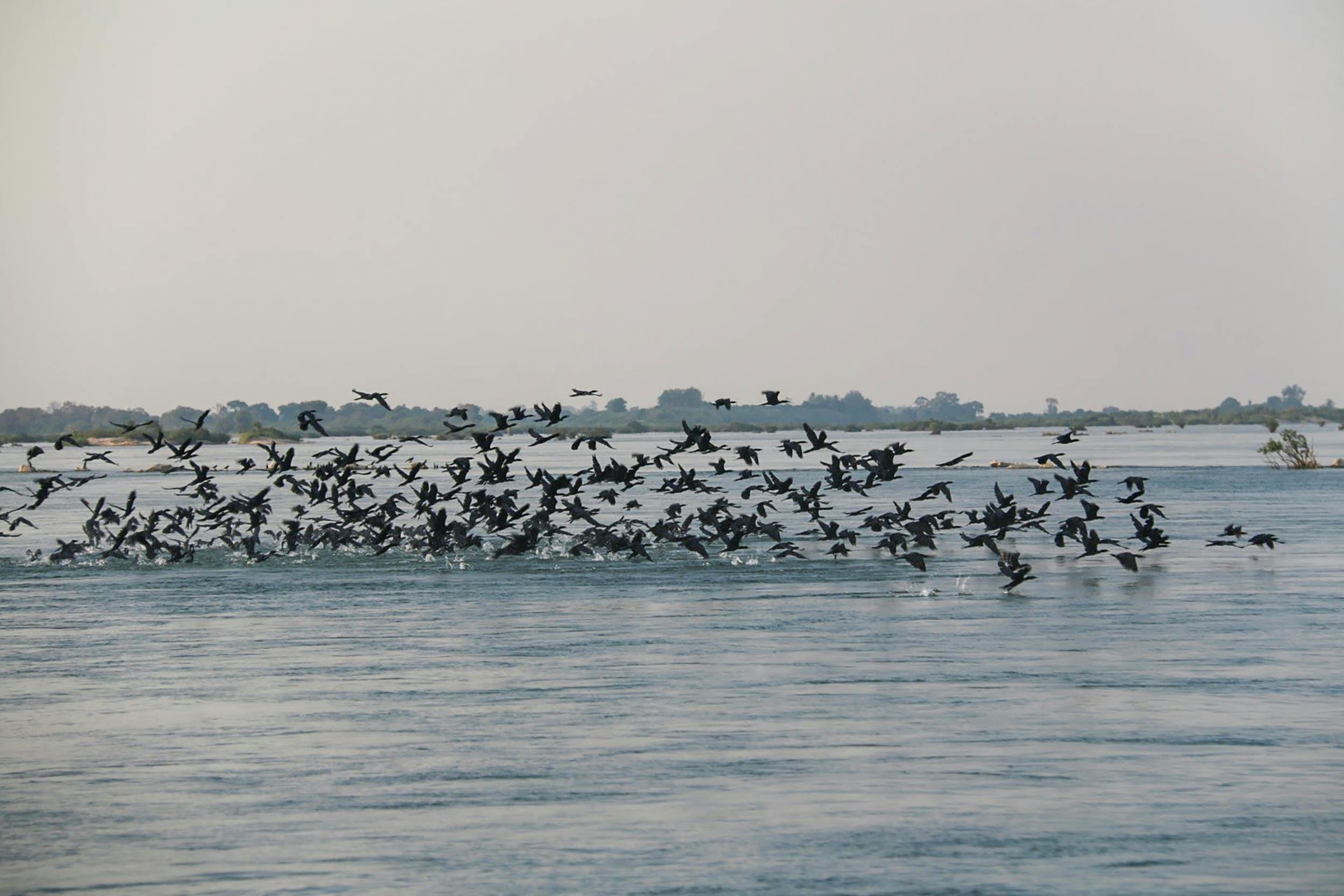 Piseth Mao - Photography