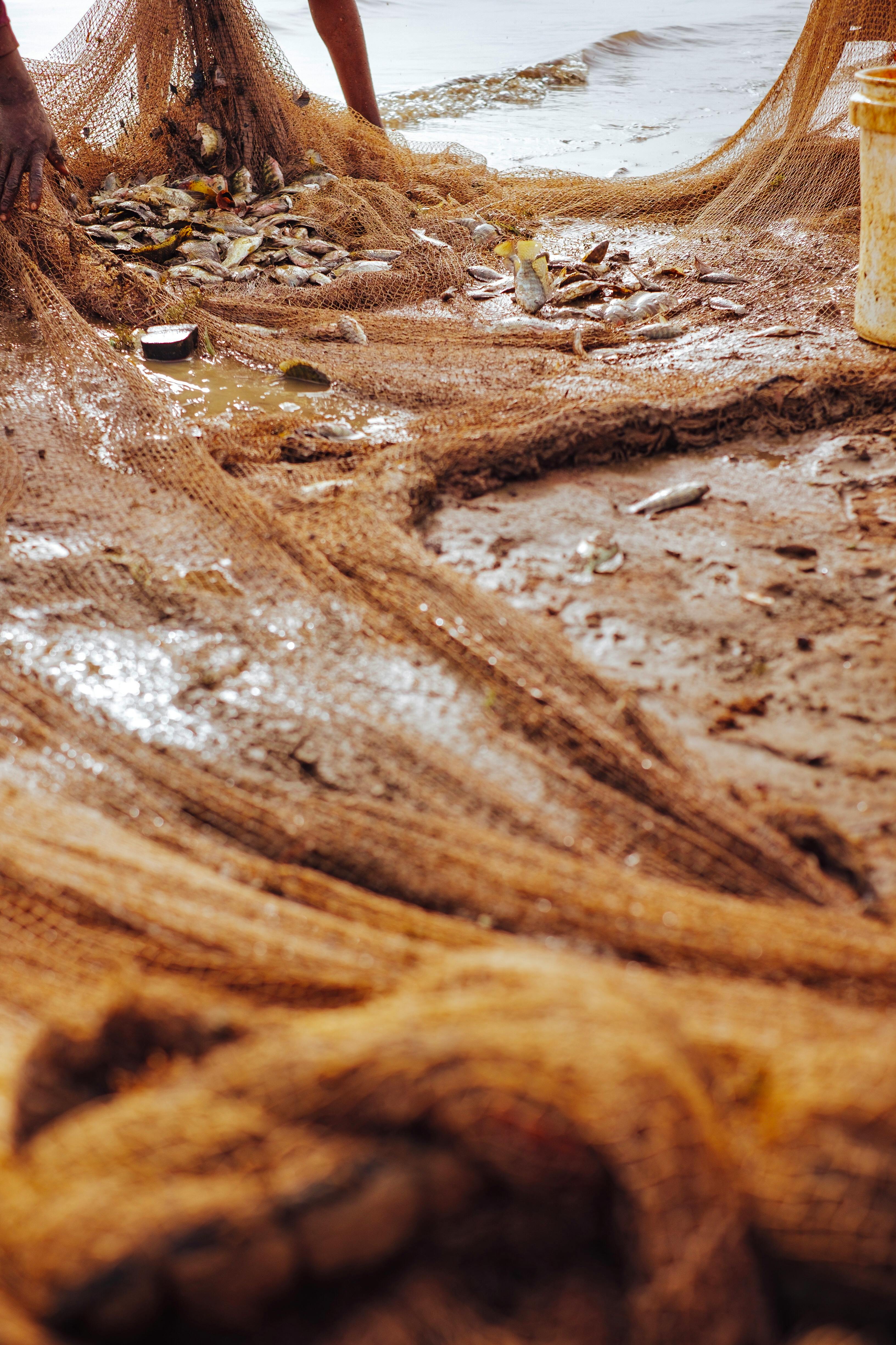 Fishing Nets Stretched Out on the Beach · Free Stock Photo
