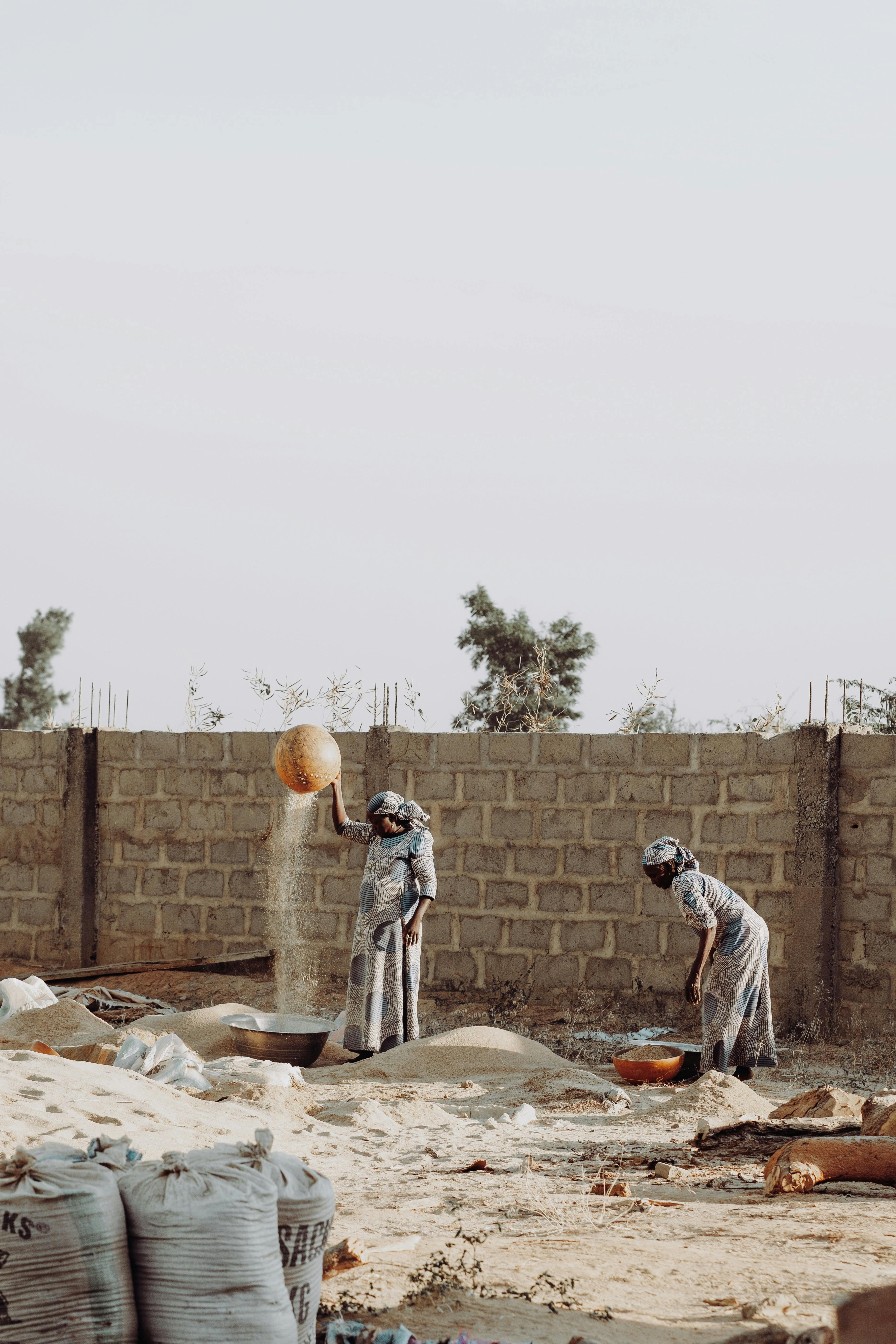 Women Processing Rice in Kebbi, Nigeria · Free Stock Photo