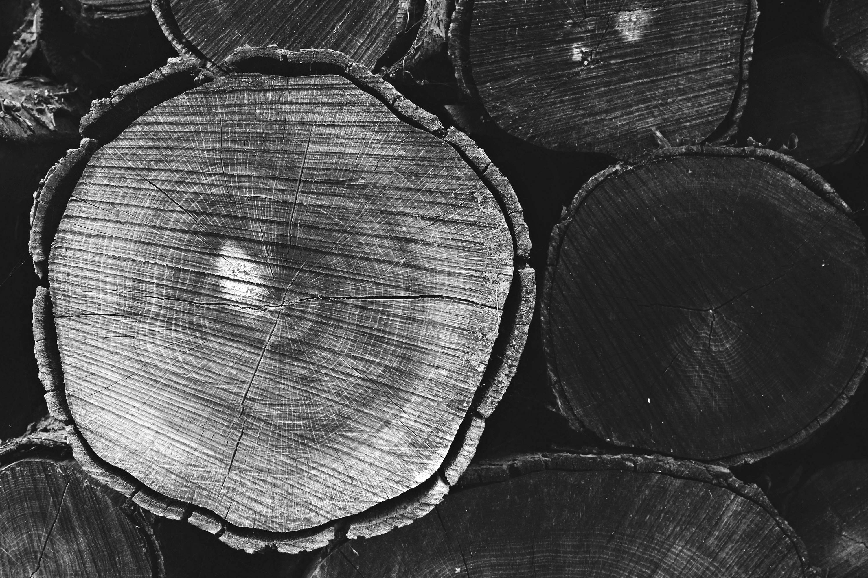 Wood Textures Bw Photos, Download The BEST Free Wood Textures Bw Stock ...