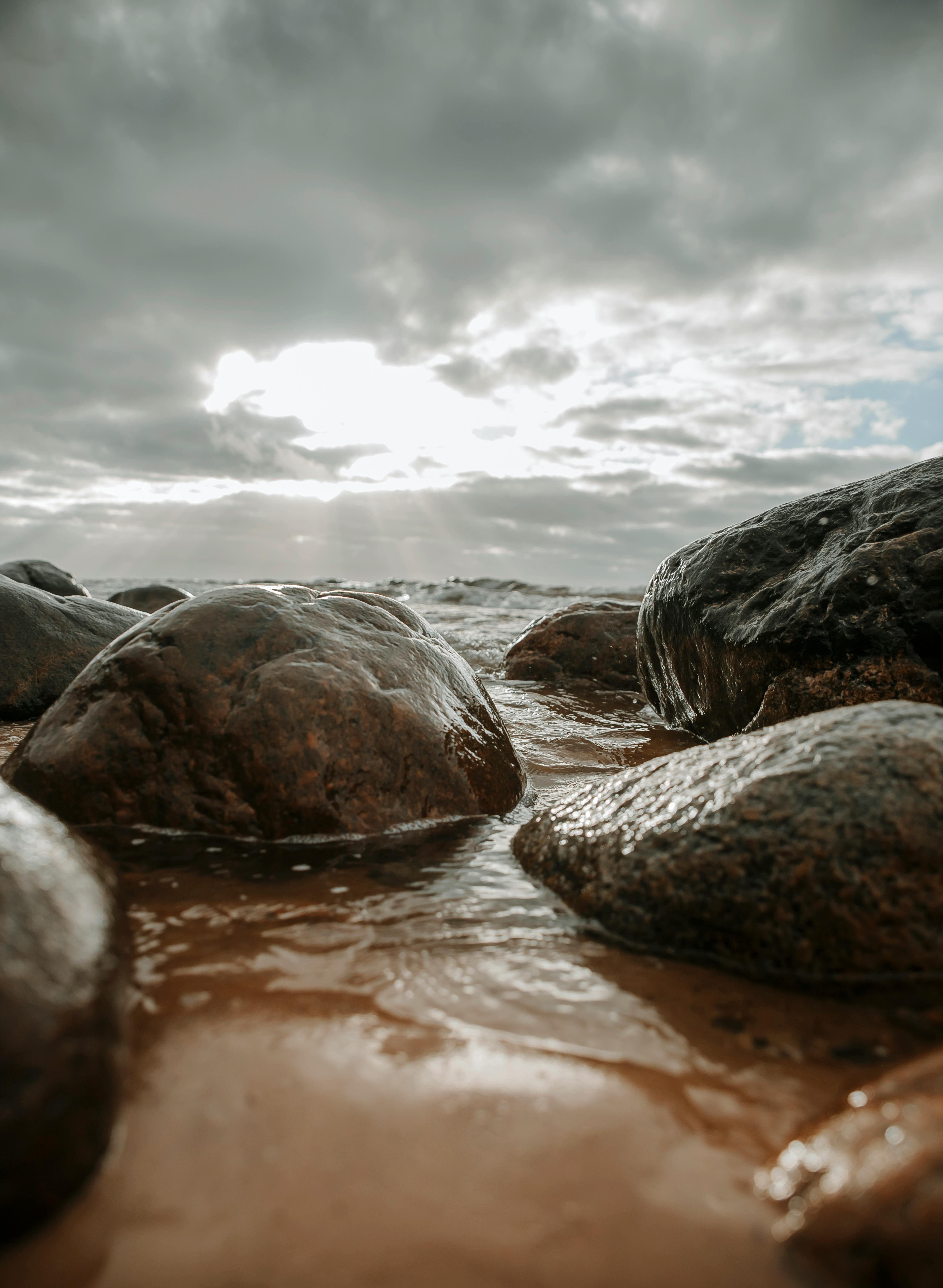Wet Stones on the Beach · Free Stock Photo