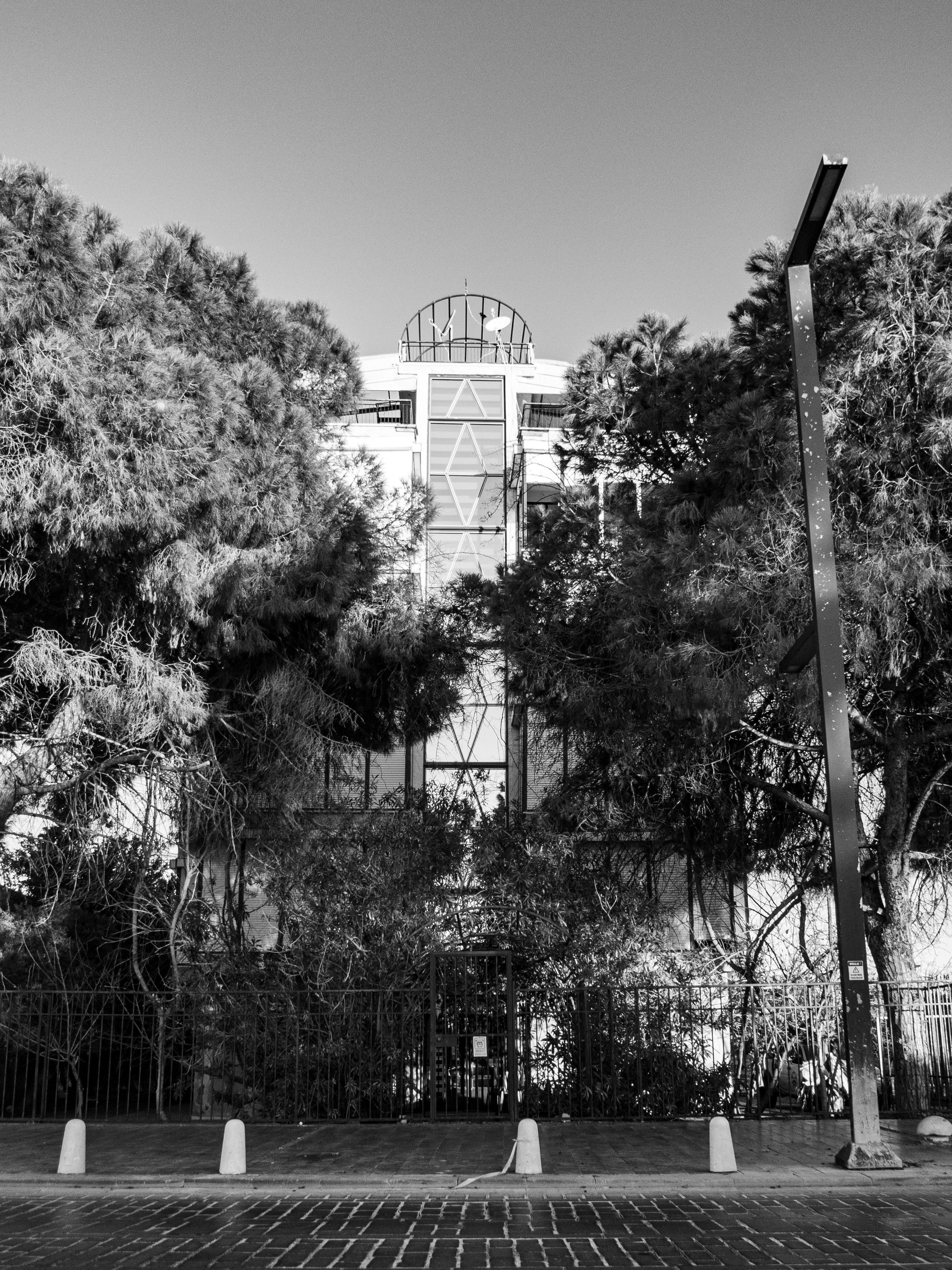Building behind Trees and Street · Free Stock Photo