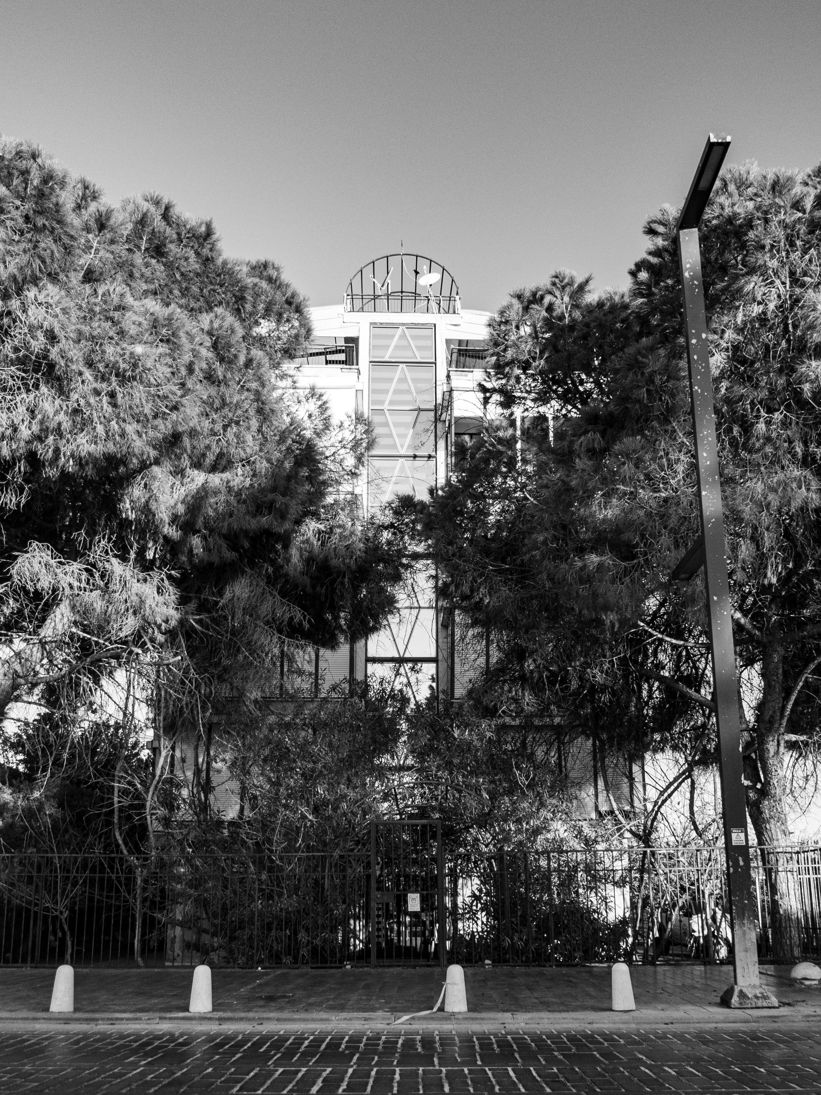 Building behind Trees and Street · Free Stock Photo