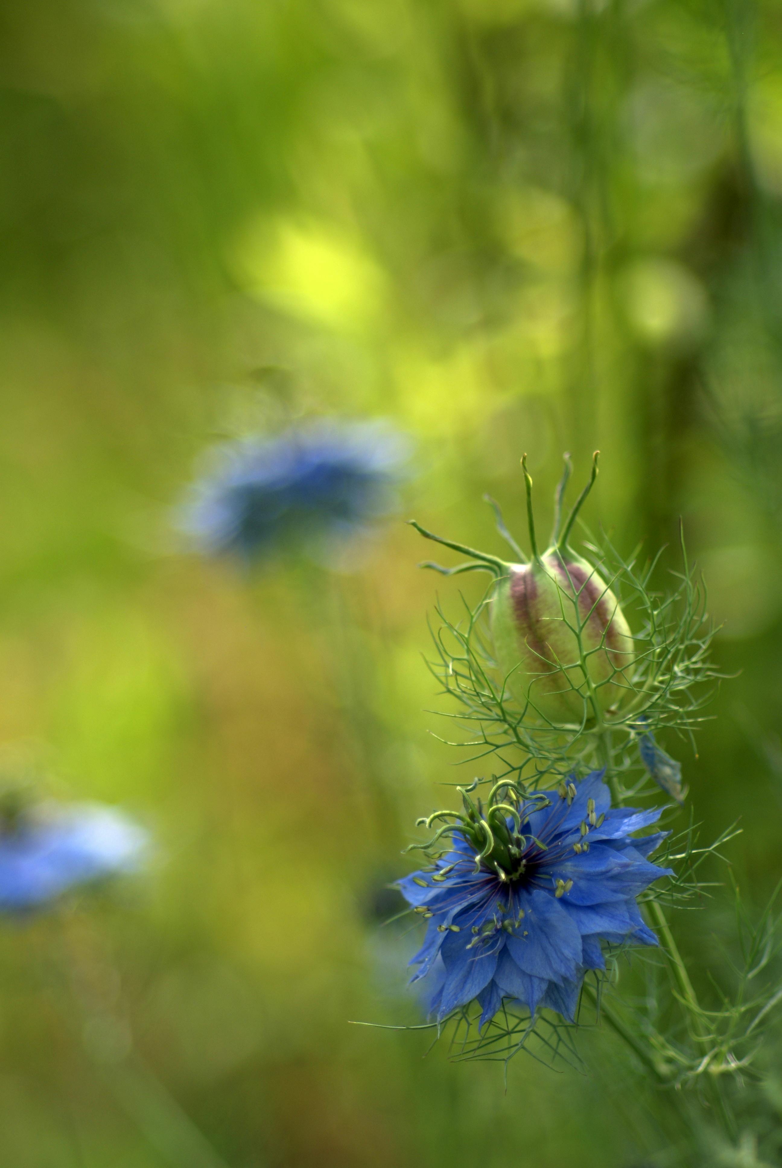 Pejzaz Photos, Download The BEST Free Pejzaz Stock Photos & HD Images