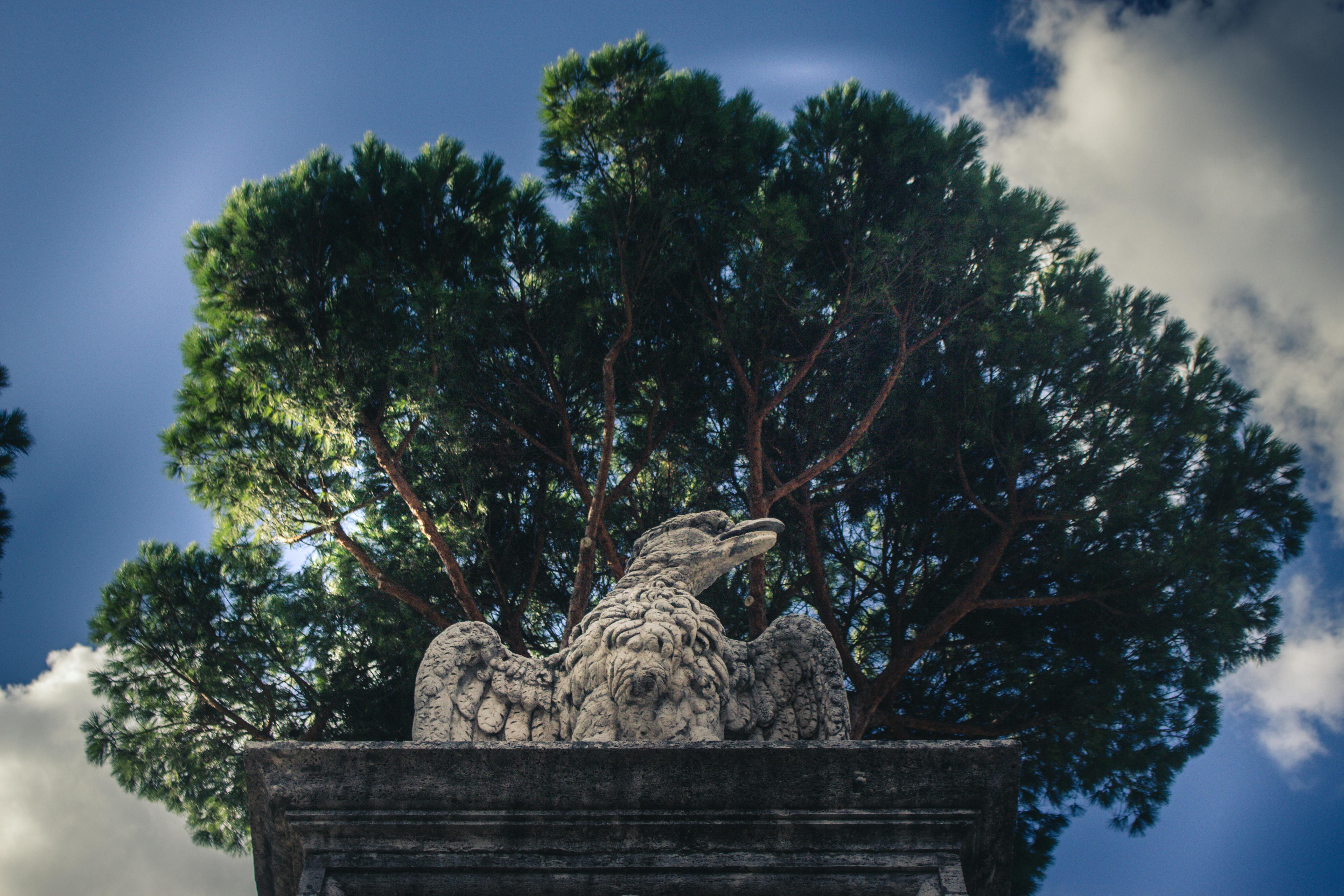 Tree behind Bird Sculpture · Free Stock Photo