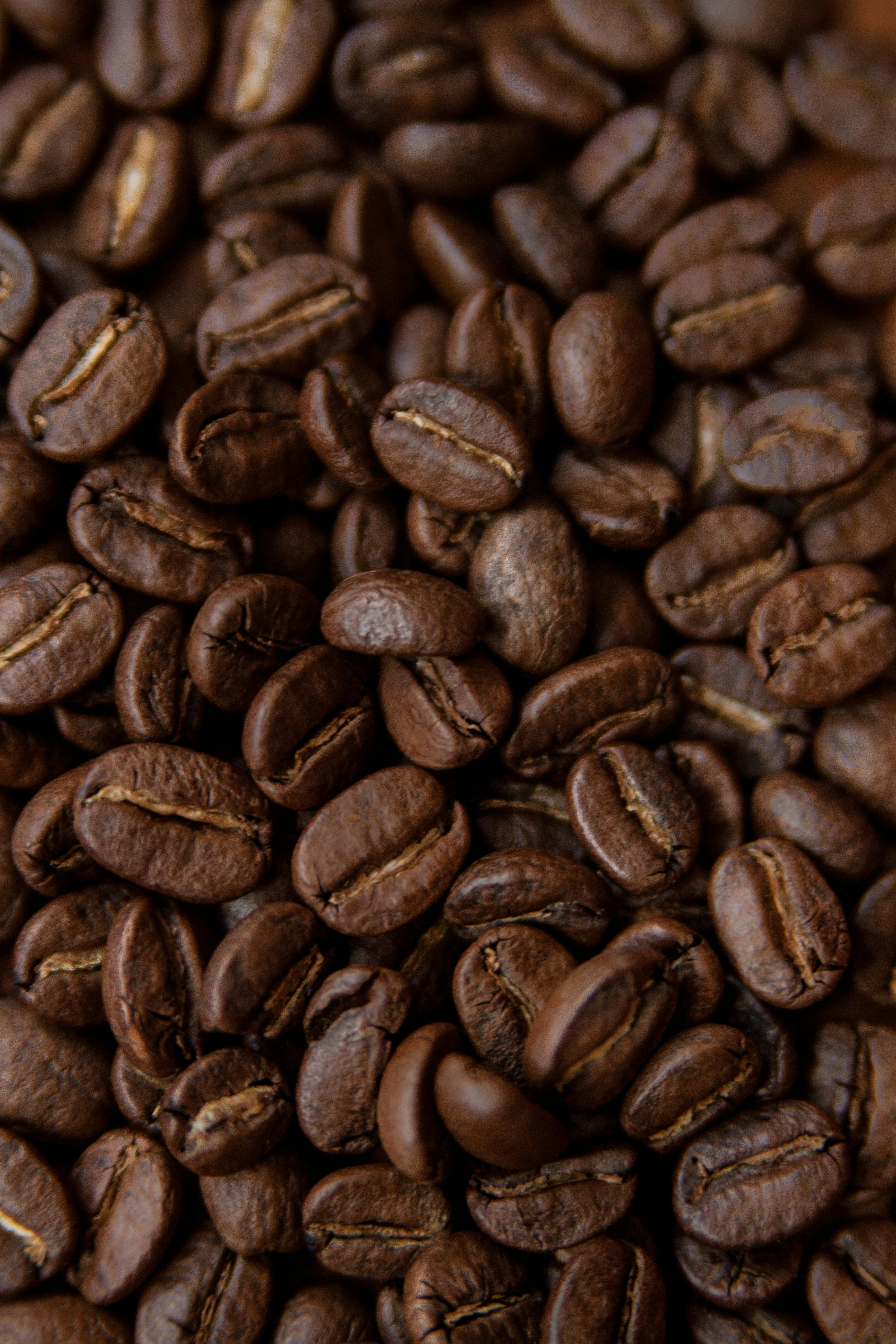 Photo gratuite de amateur de café, arabica, arôme, arôme de café ...