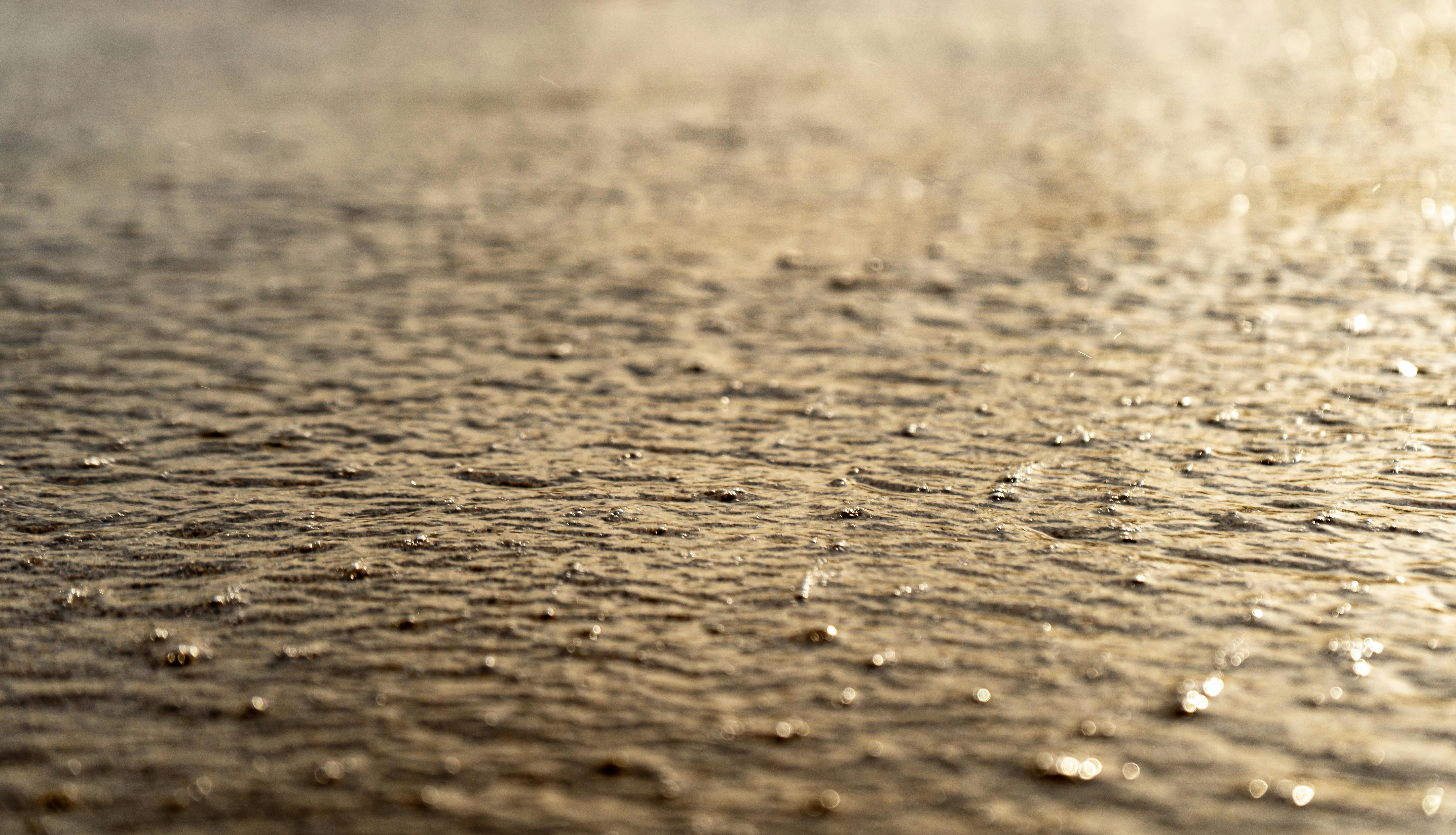 War Texture Photos, Download The BEST Free War Texture Stock Photos ...