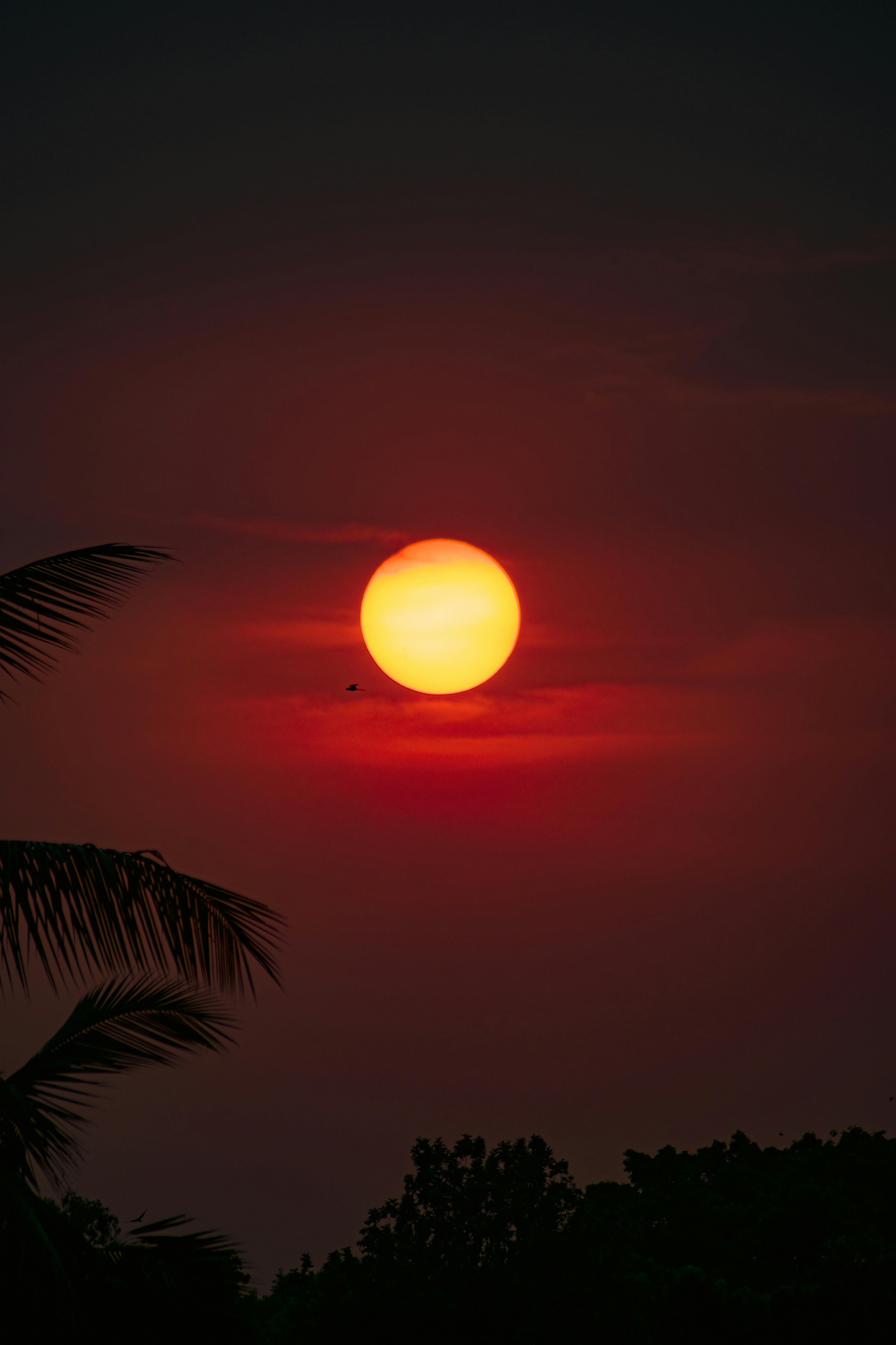 Full, Red Moon · Free Stock Photo