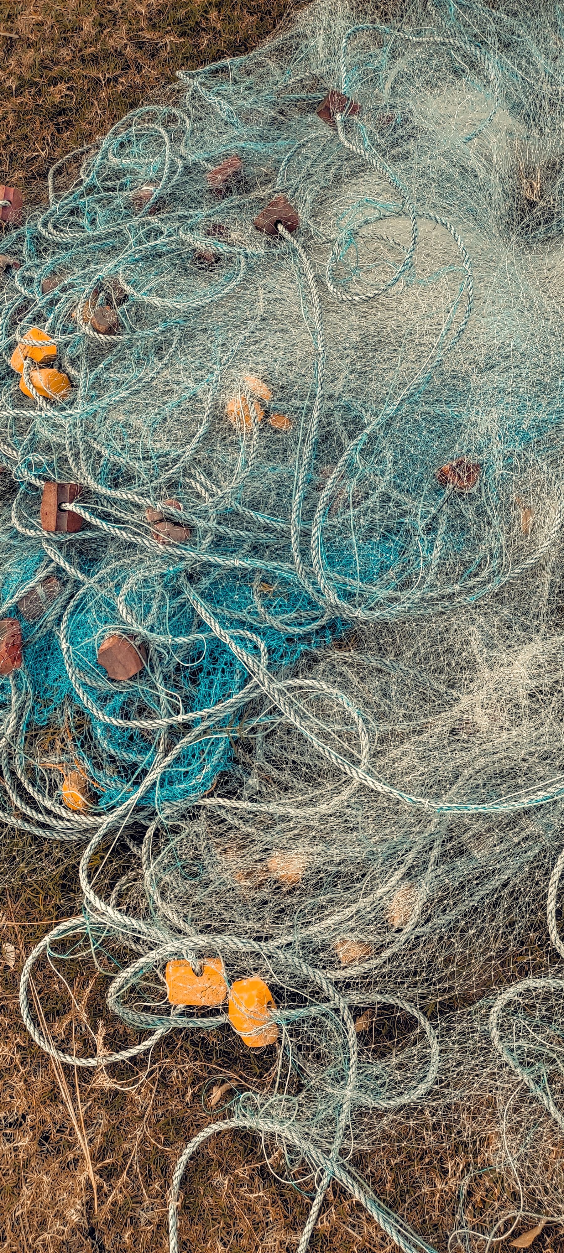 Fishing Net on Ground · Free Stock Photo