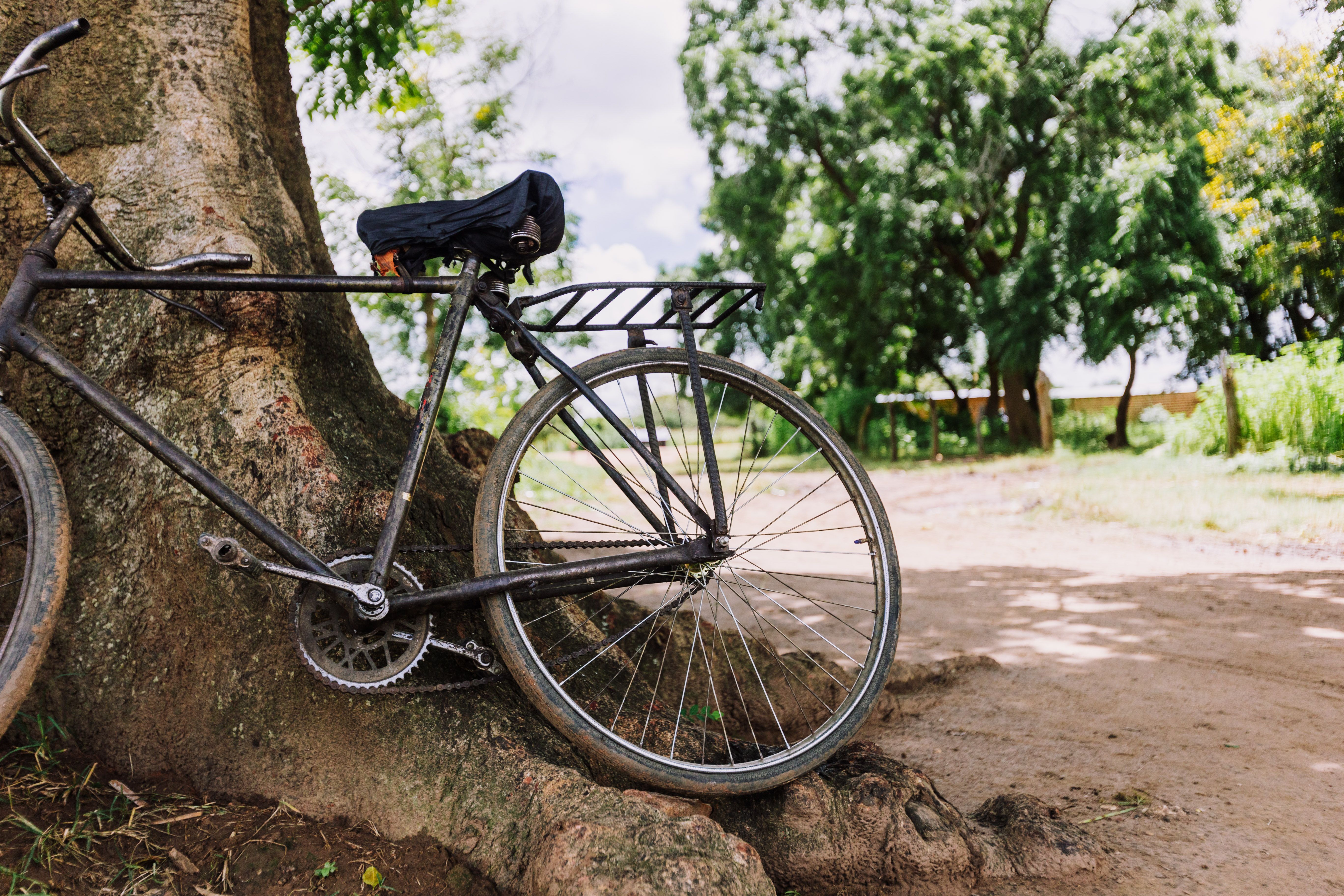A Bicycle by a Tree · Free Stock Photo