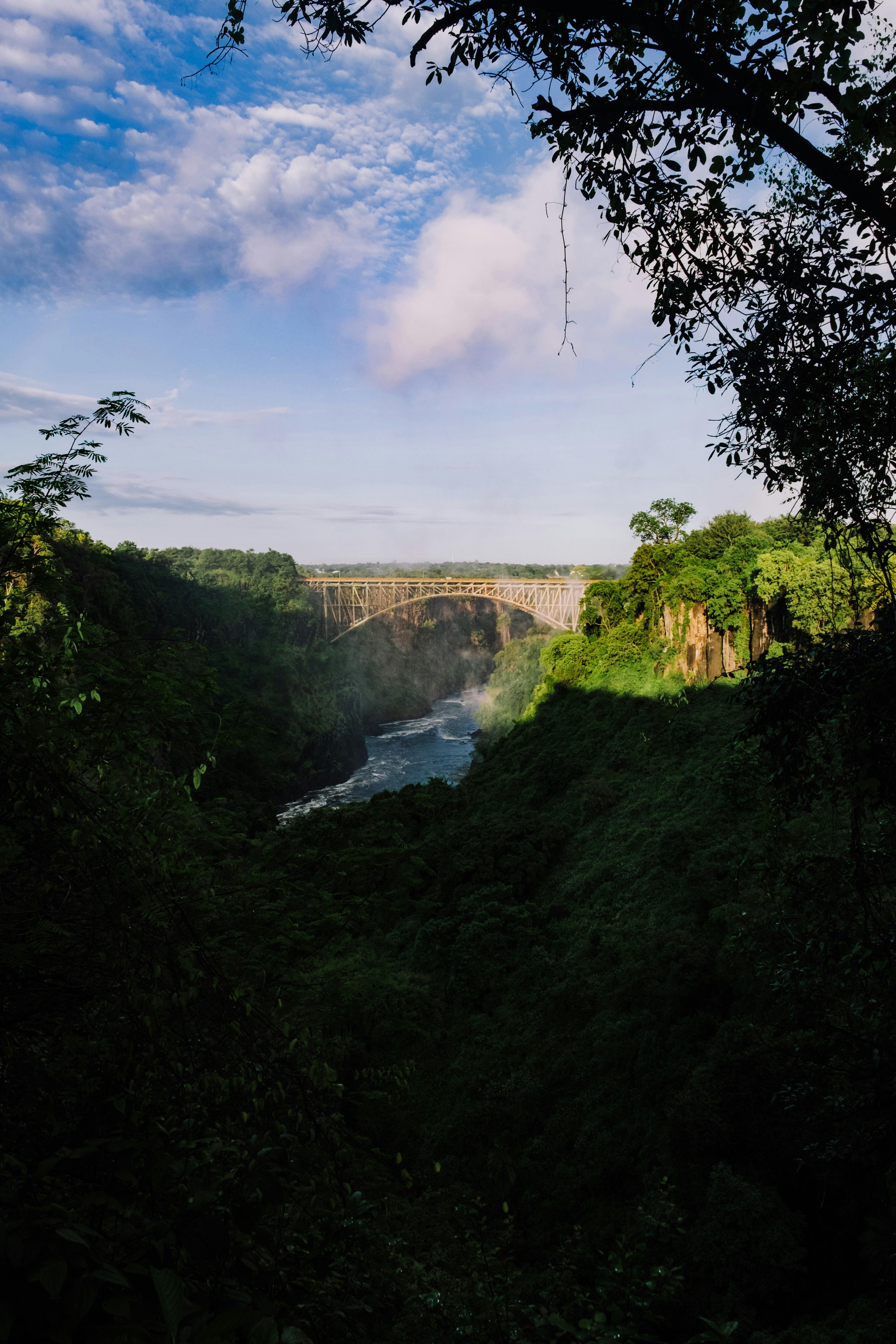 Alice Bridges Photos, Download The BEST Free Alice Bridges Stock Photos ...