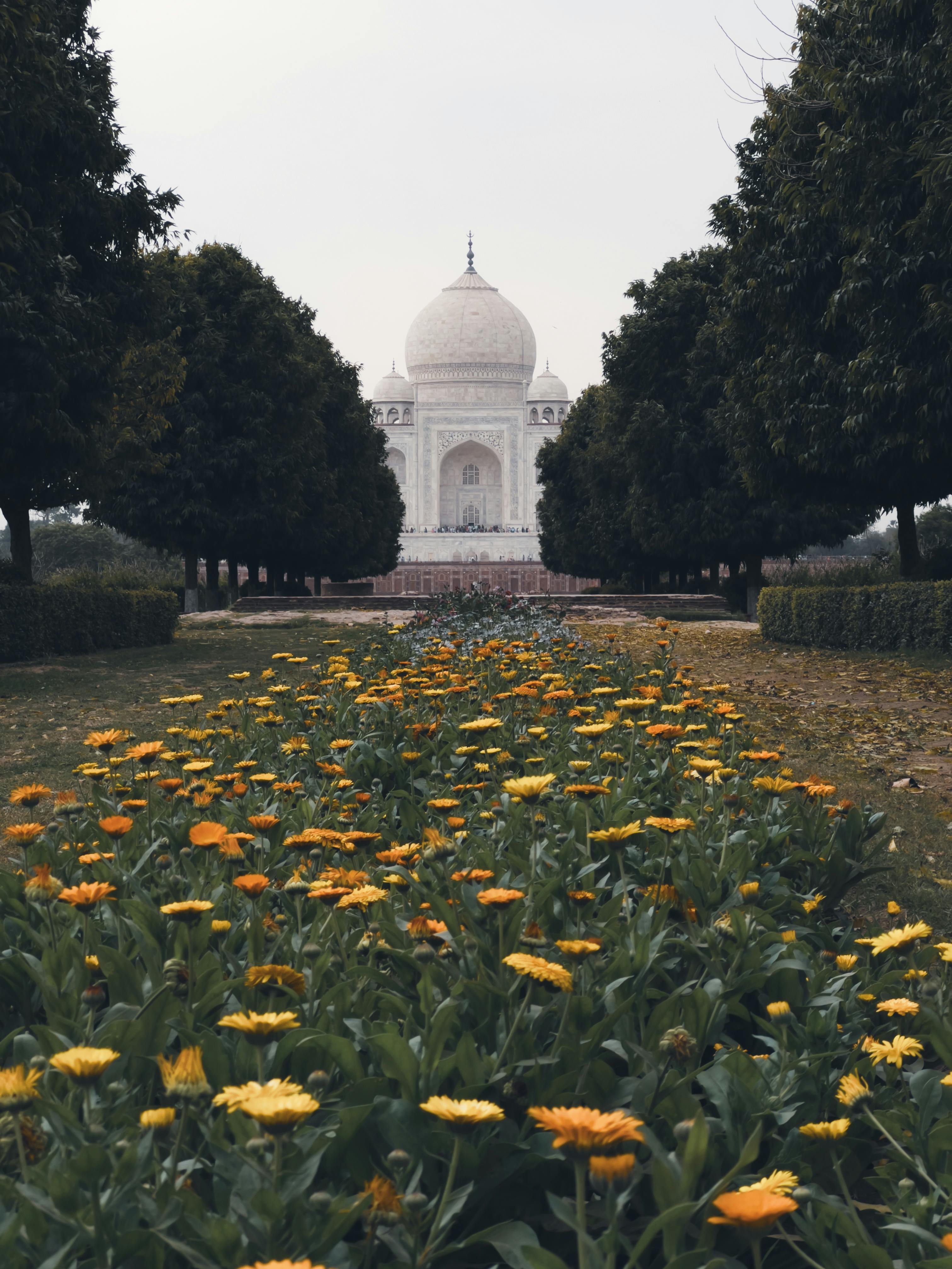 View of Taj Mahal · Free Stock Photo
