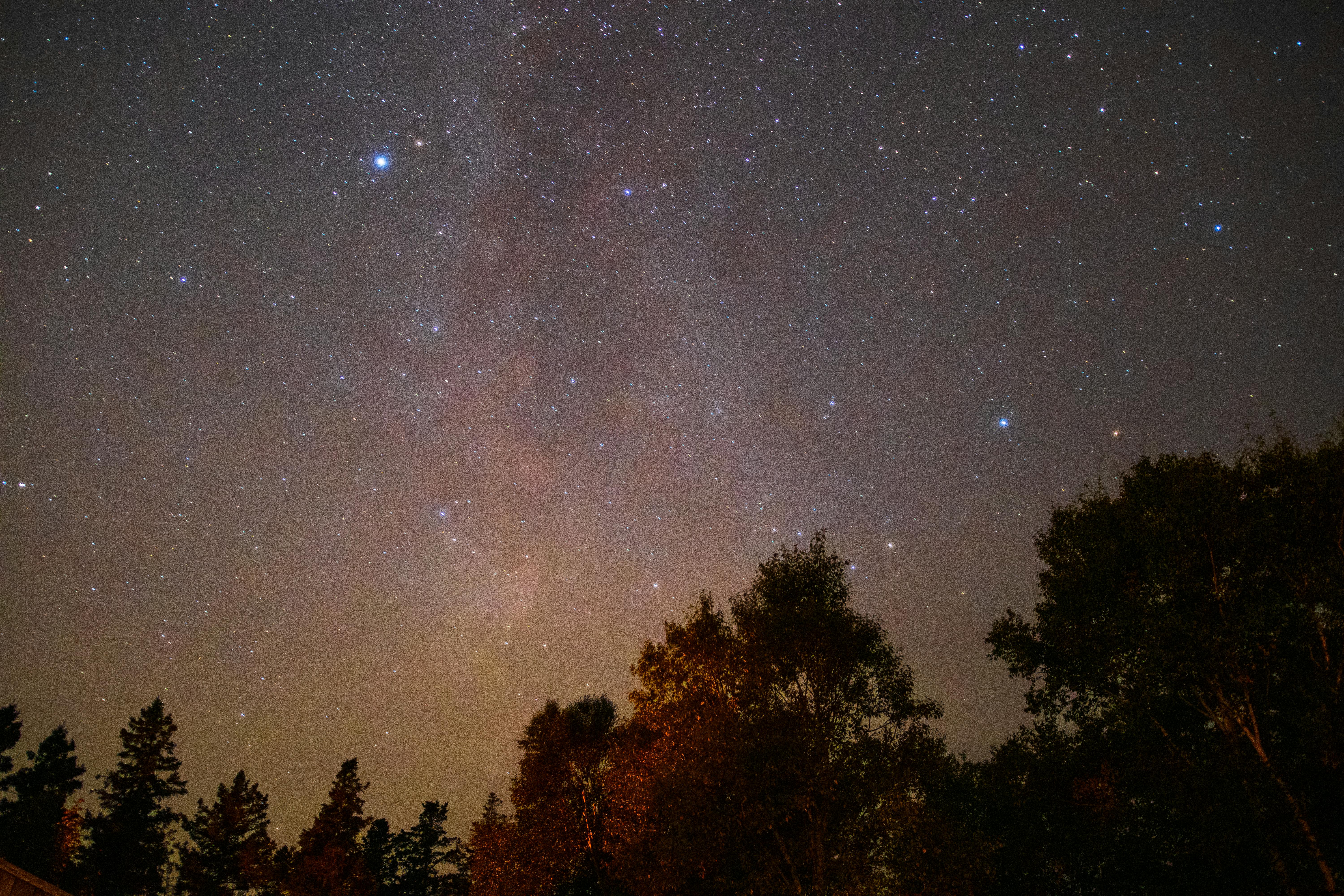 Stars on Clear, Night Sky · Free Stock Photo