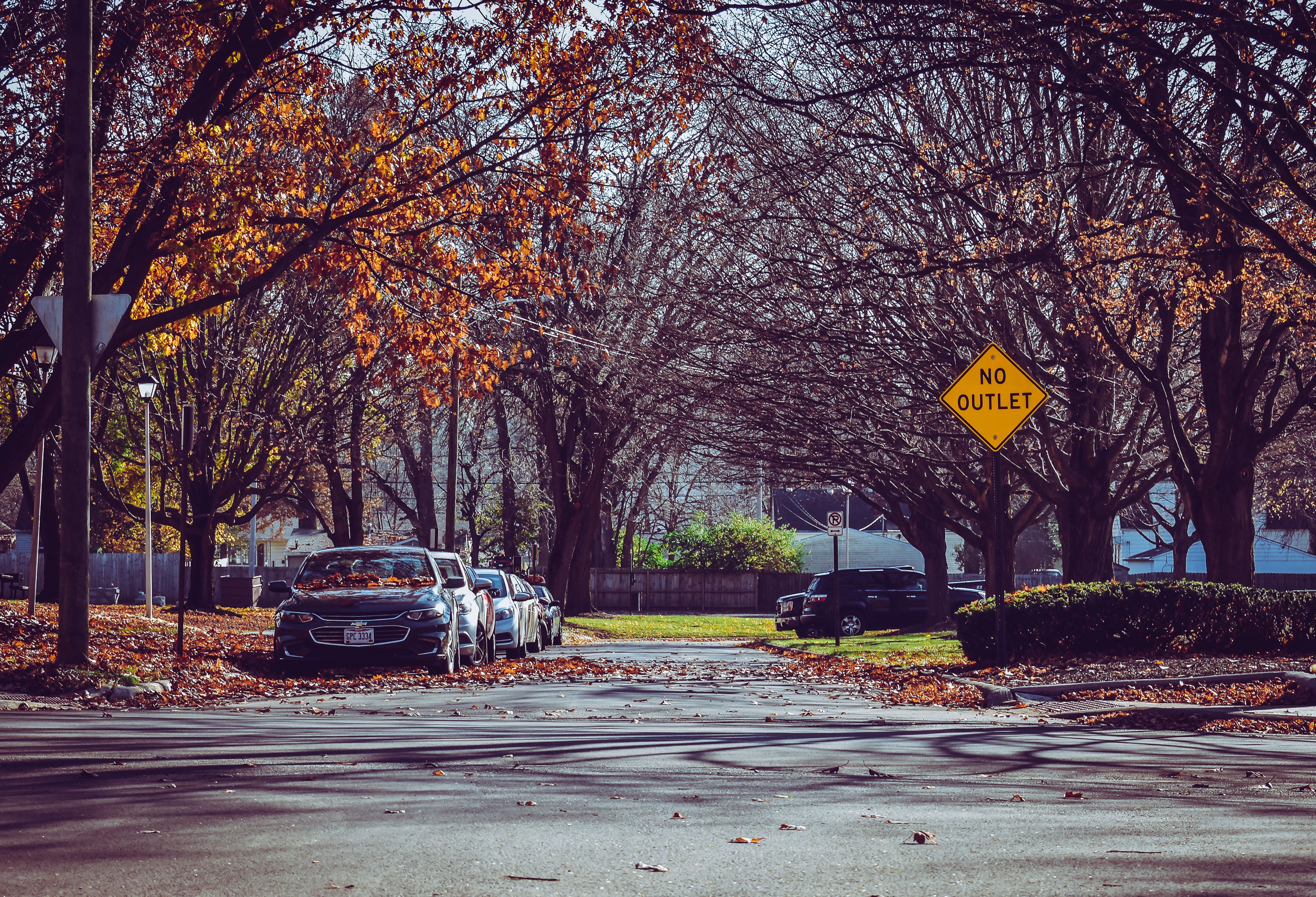 Cars Parked Beside Trees · Free Stock Photo