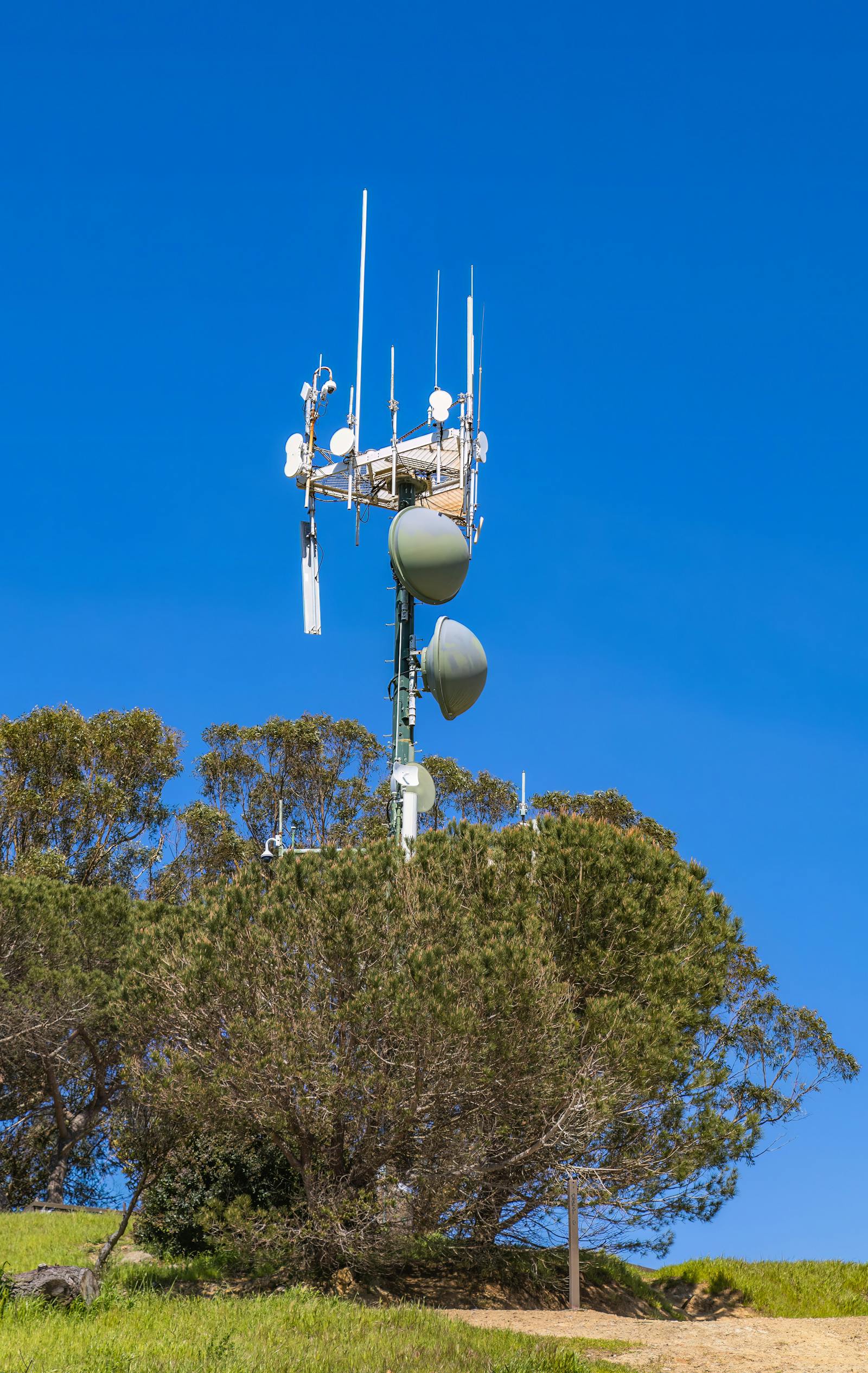 Lens Antenna Photos, Download The BEST Free Lens Antenna Stock Photos ...