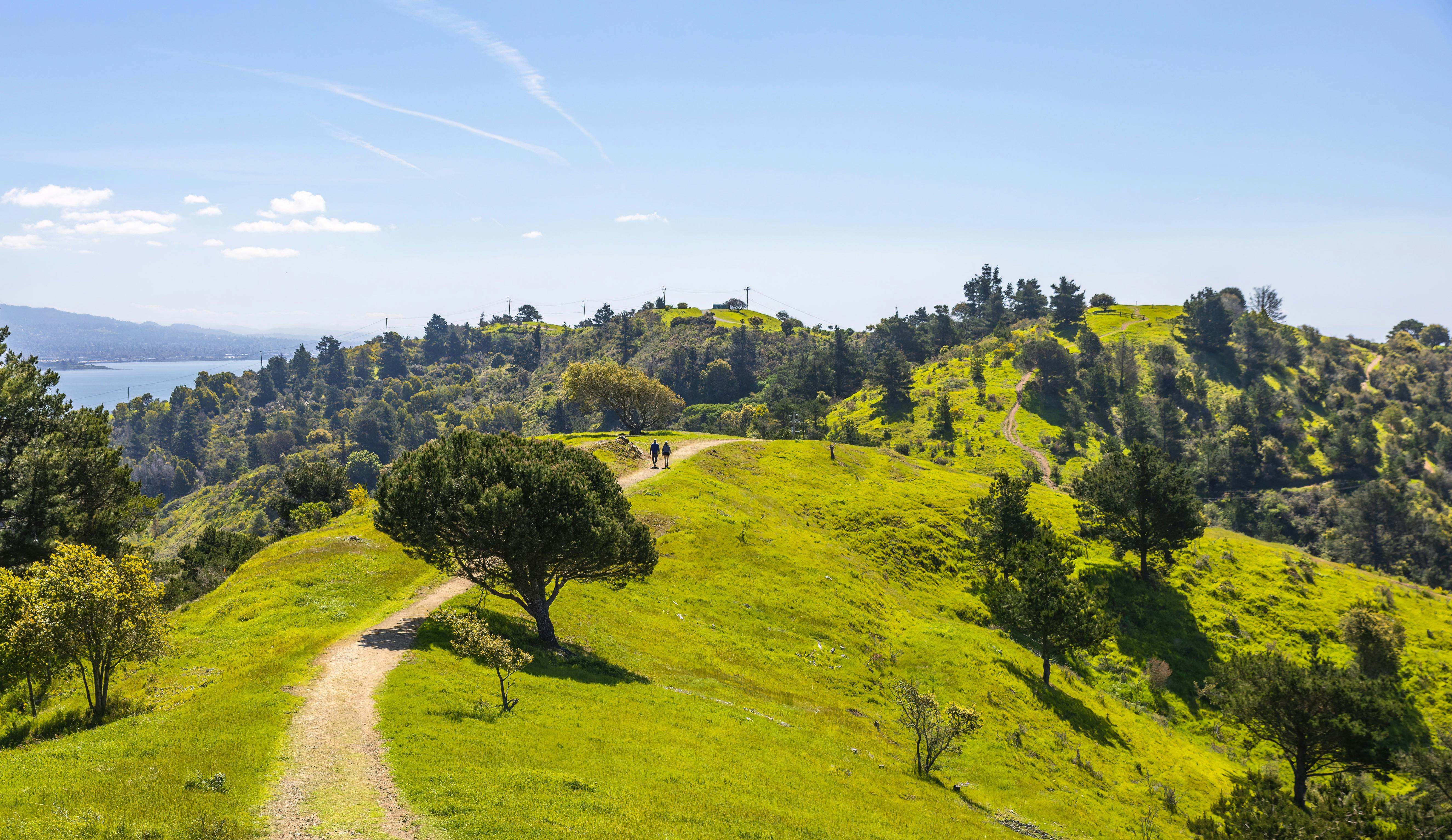 Road on the Top of Green Hill · Free Stock Photo