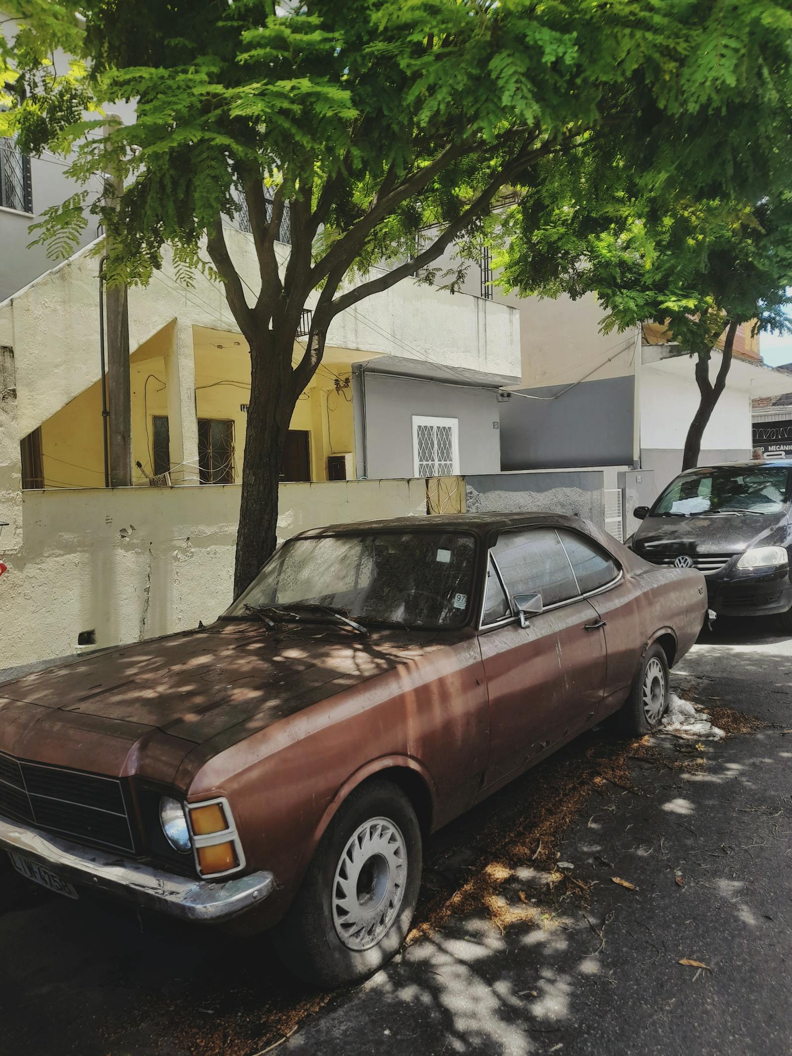 Opala Photos, Download The BEST Free Opala Stock Photos & HD Images