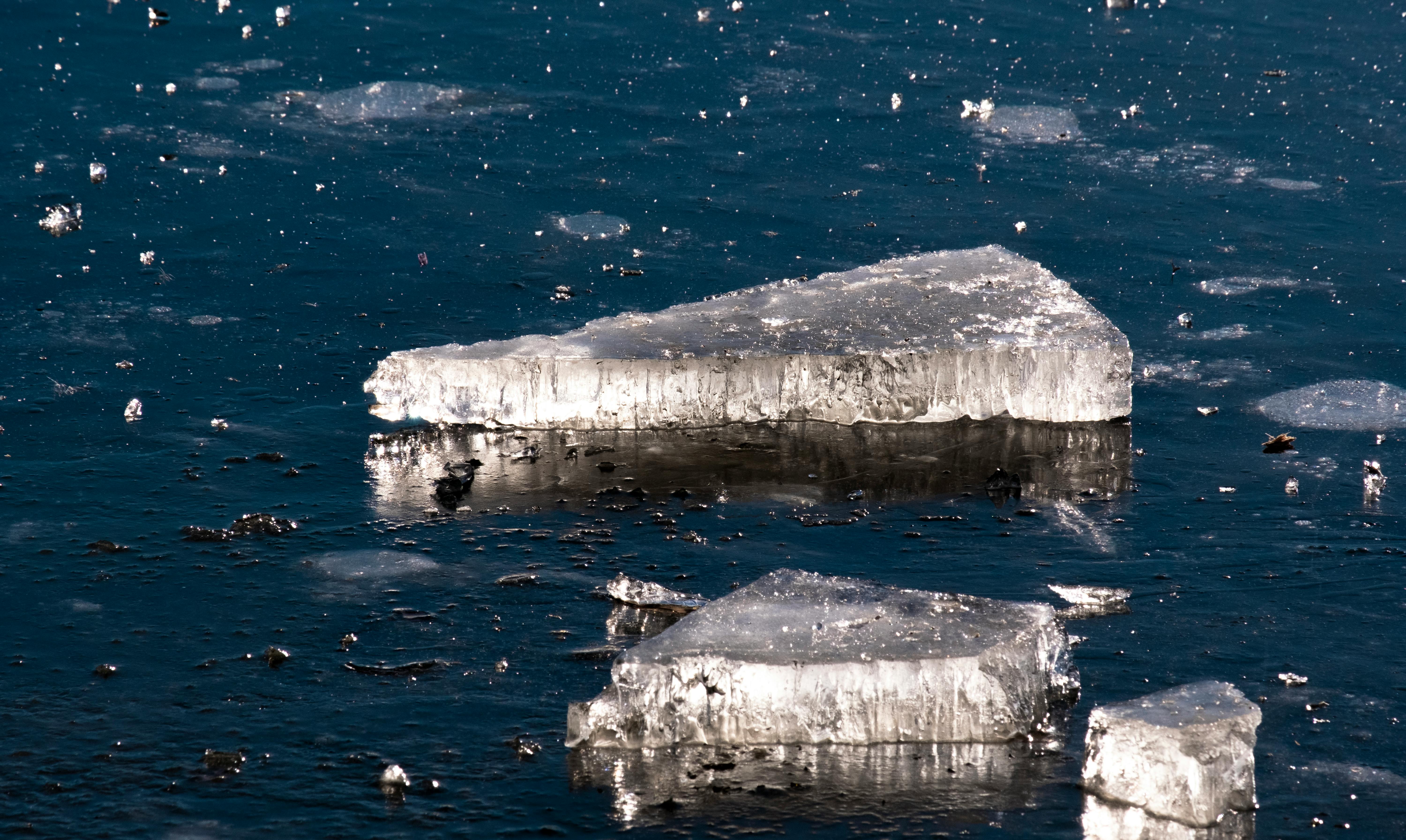 Ice Flowing on Sea · Free Stock Photo
