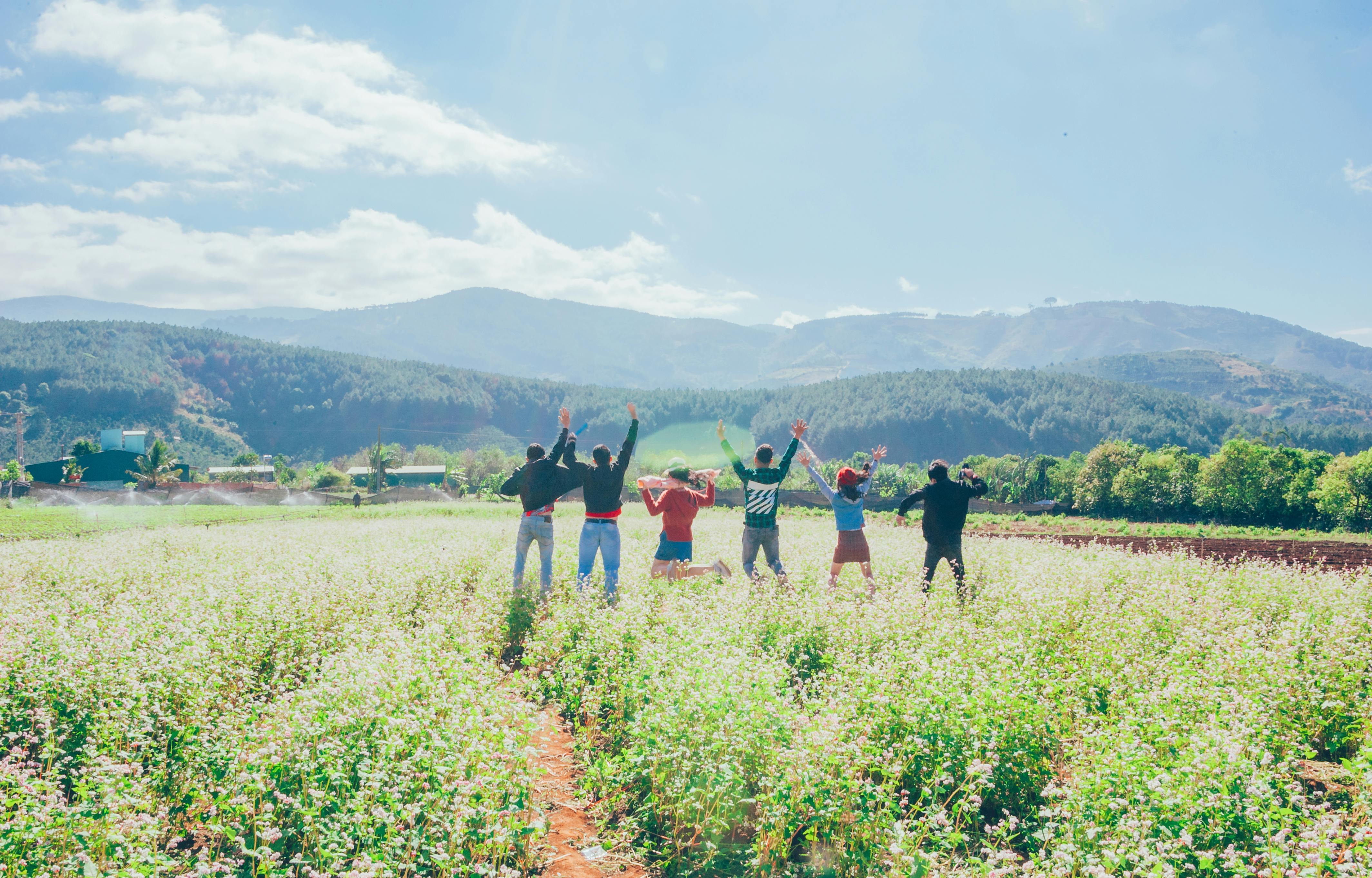 Group of Six People Standing on Green Grass Field · Free Stock Photo