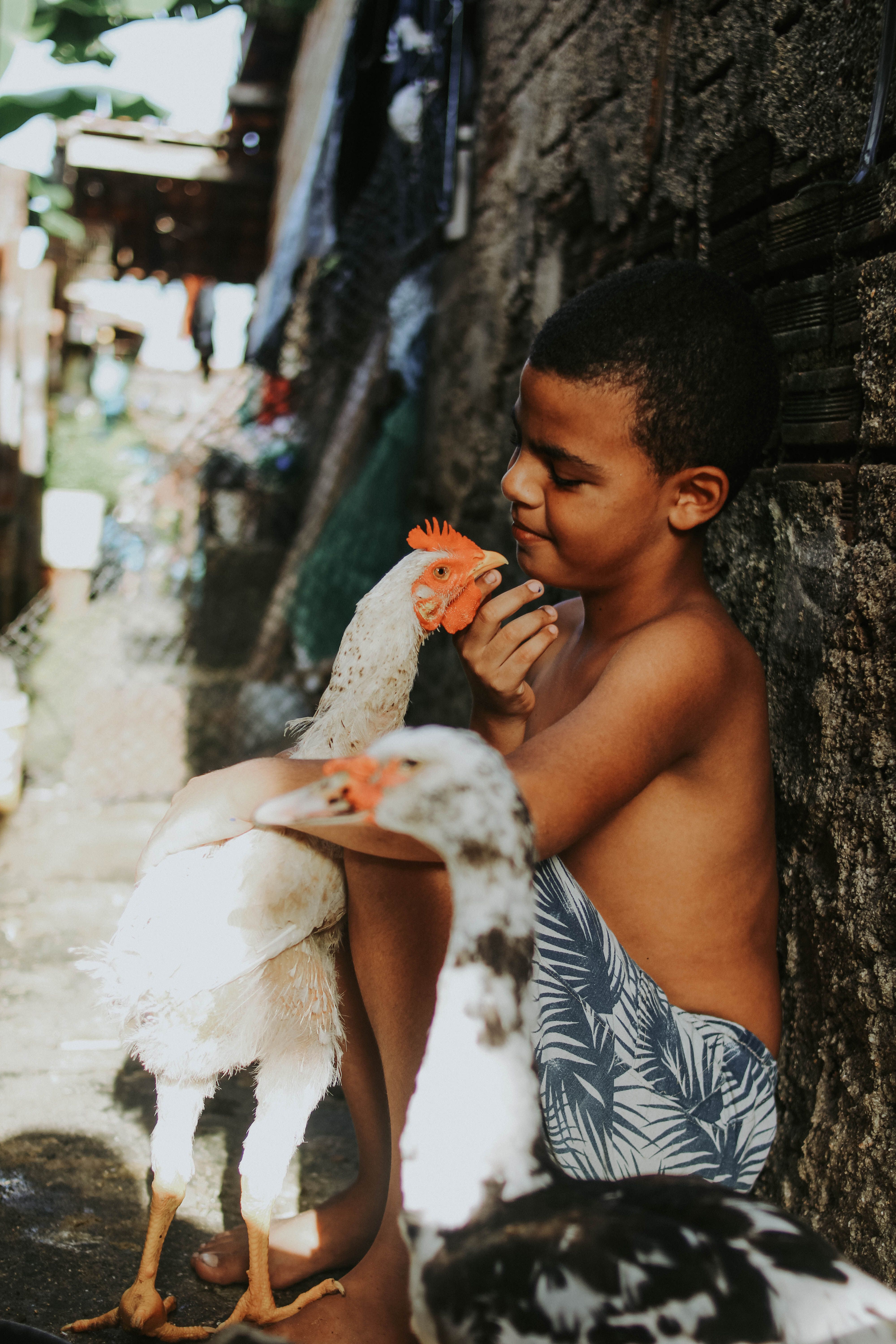Foto profissional gratuita de animais, cabelo curto, cabelo escuro ...