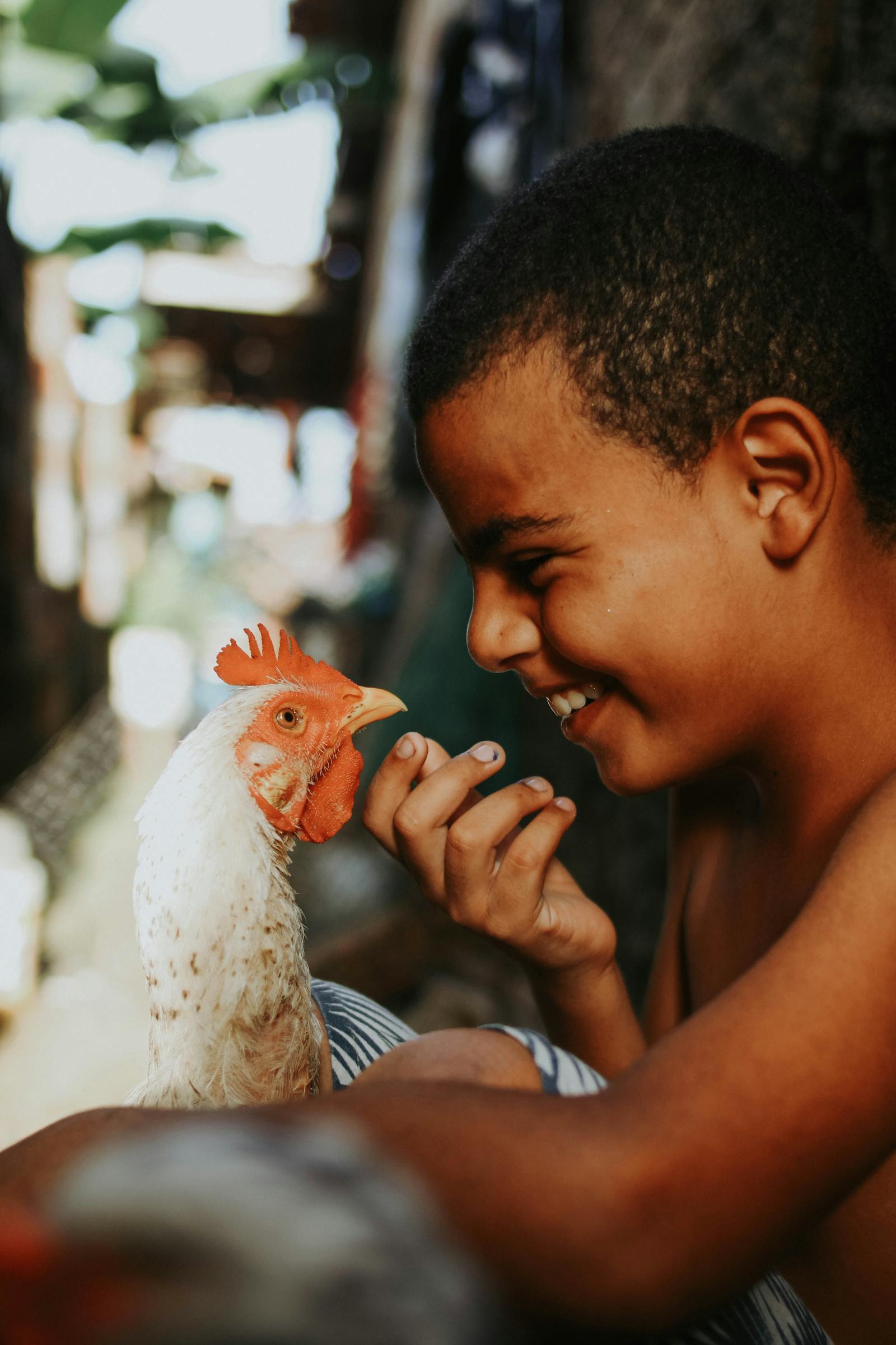 Anime Boy Pfp Photos, Download The BEST Free Anime Boy Pfp Stock Photos ...