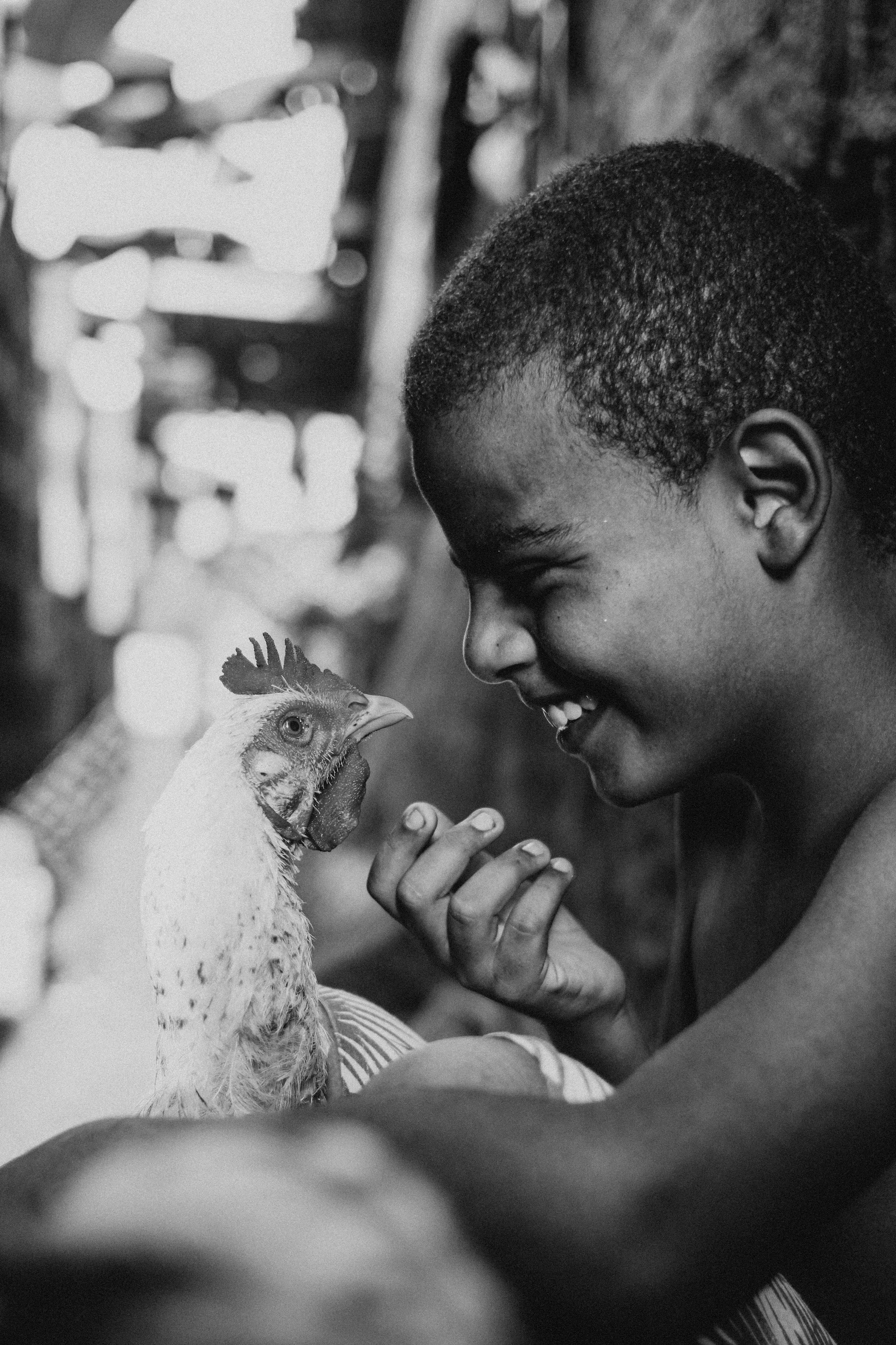 Joyful Interaction Between Child and Chicken · Free Stock Photo
