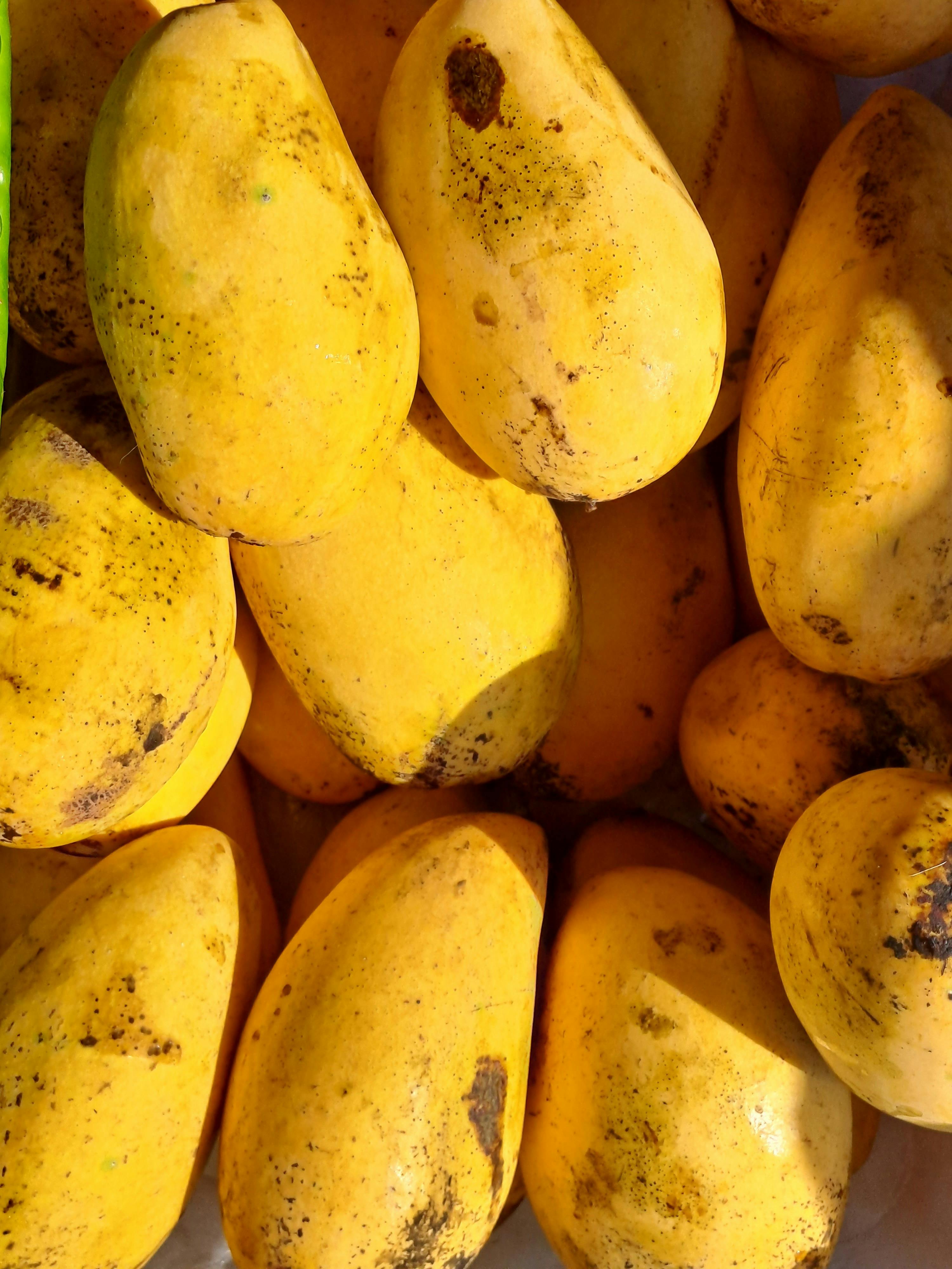 Close up of Yellow Mangoes · Free Stock Photo