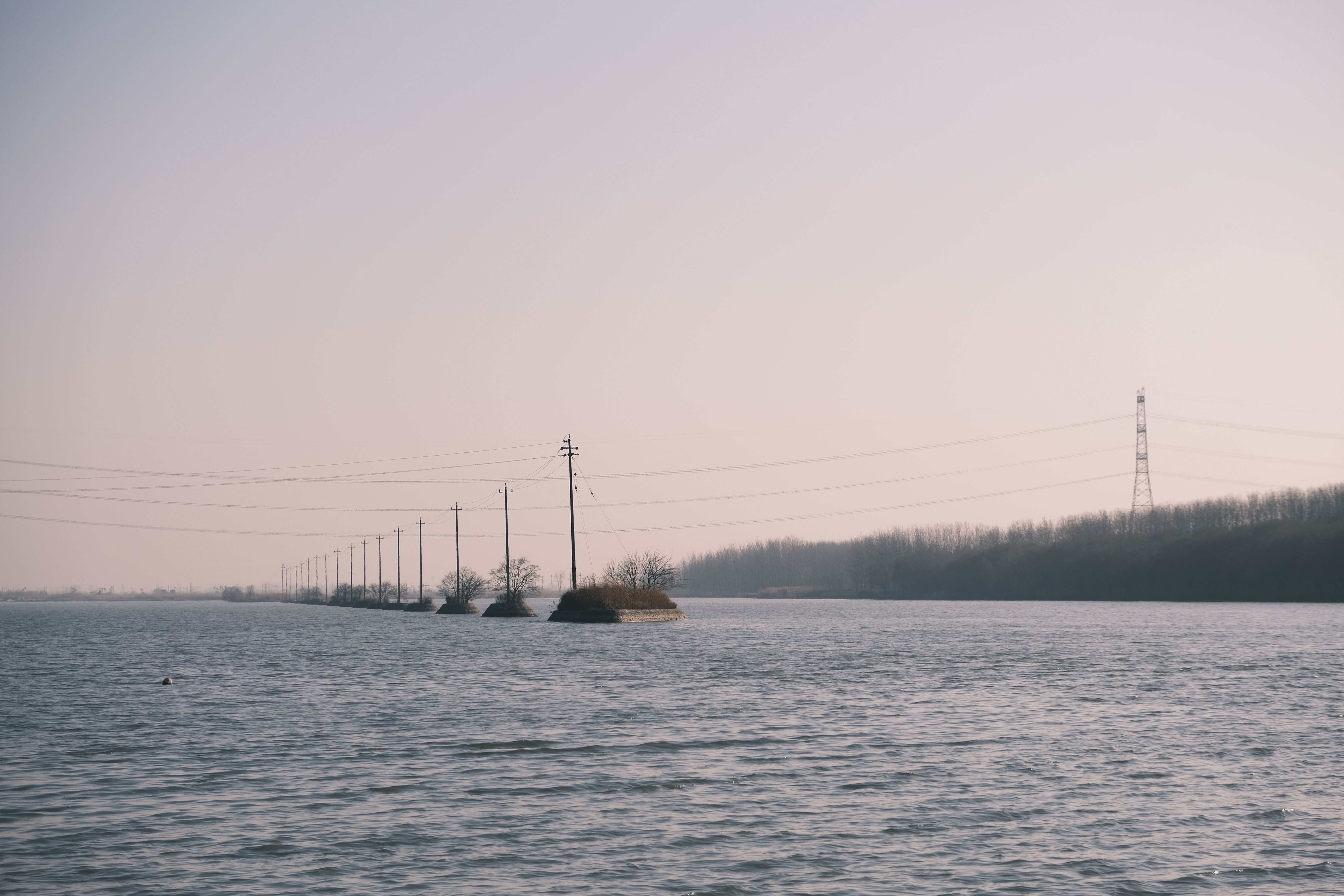 Electricity Poles in the Water · Free Stock Photo