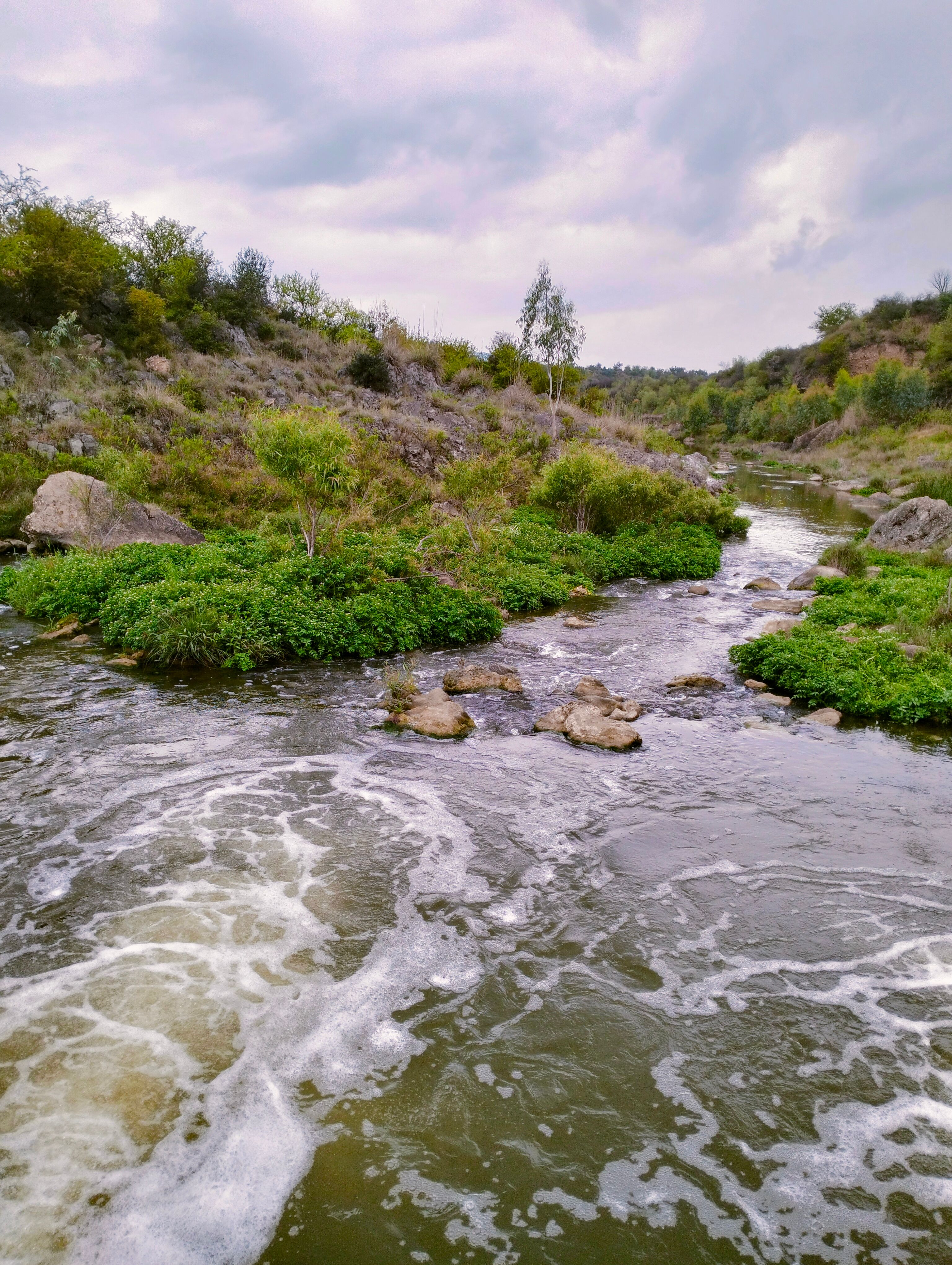 A Stream in a Valley · Free Stock Photo