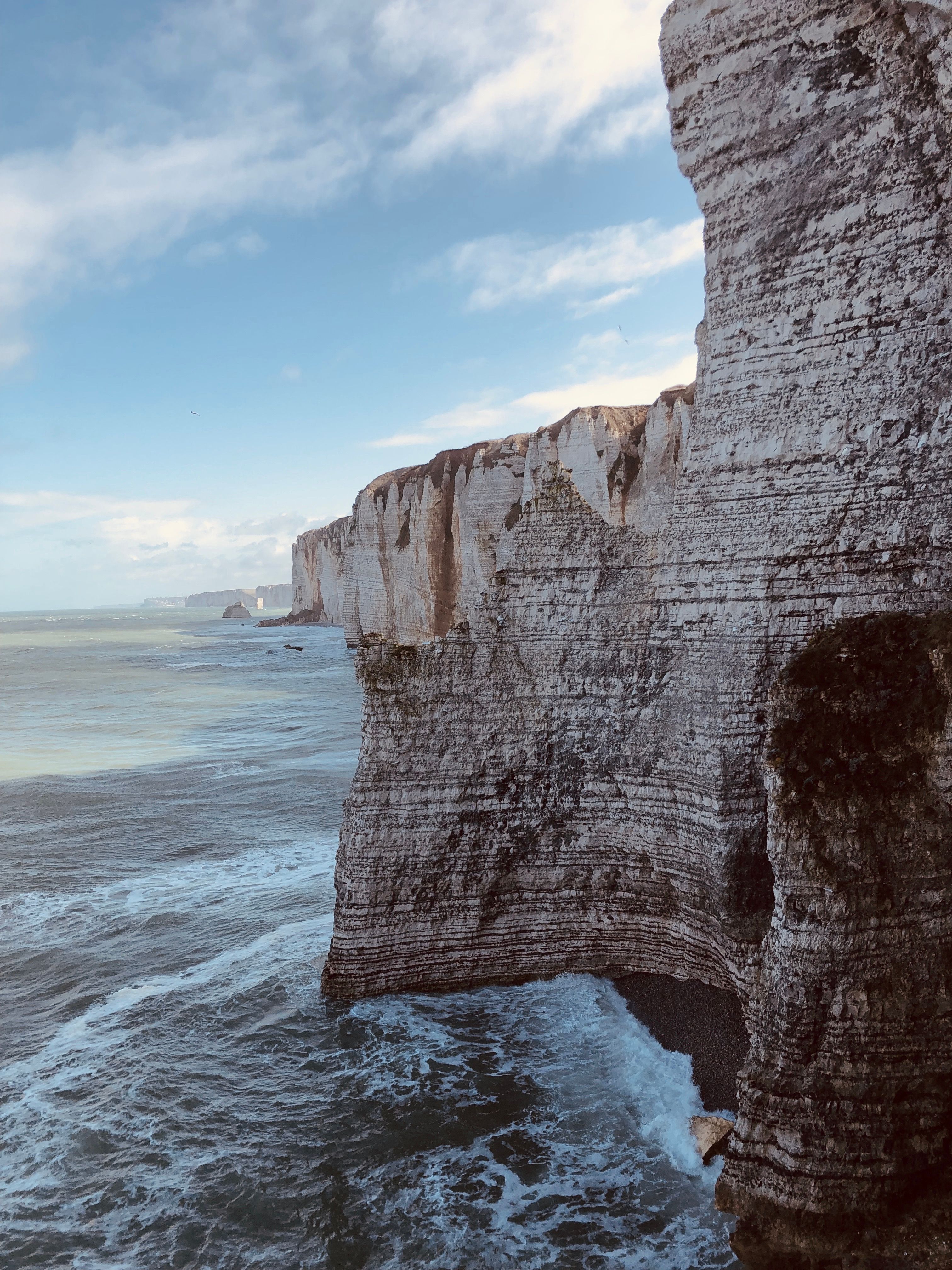 Montgomery Cliff Photos, Download The BEST Free Montgomery Cliff Stock ...