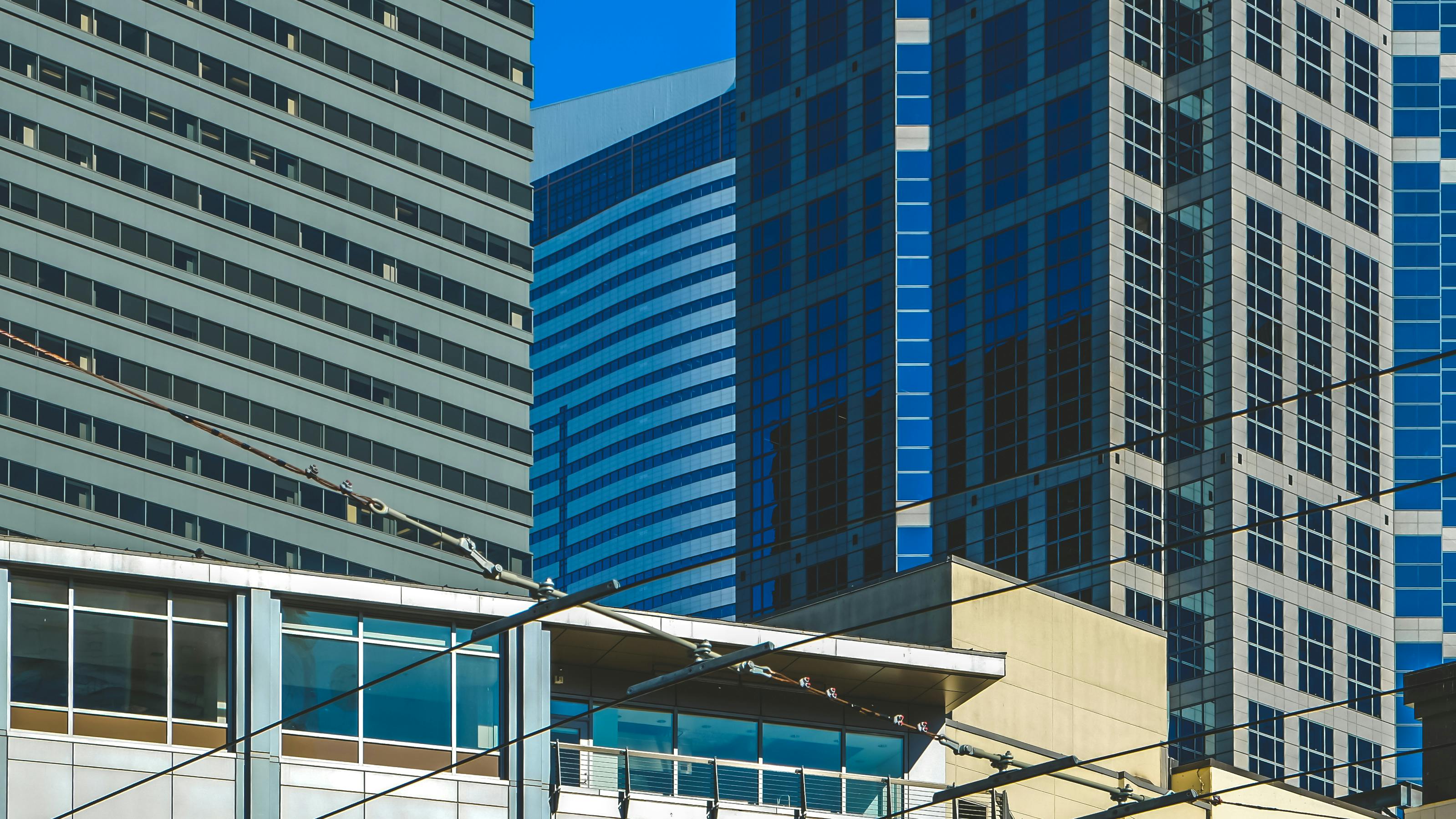 Artem Velychko - 摄影