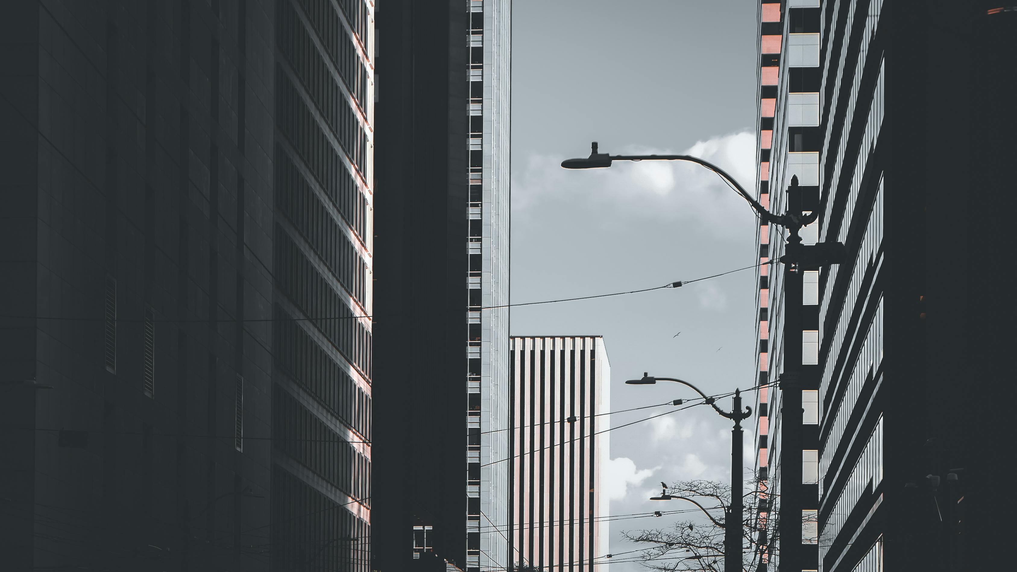 Artem Velychko - 摄影