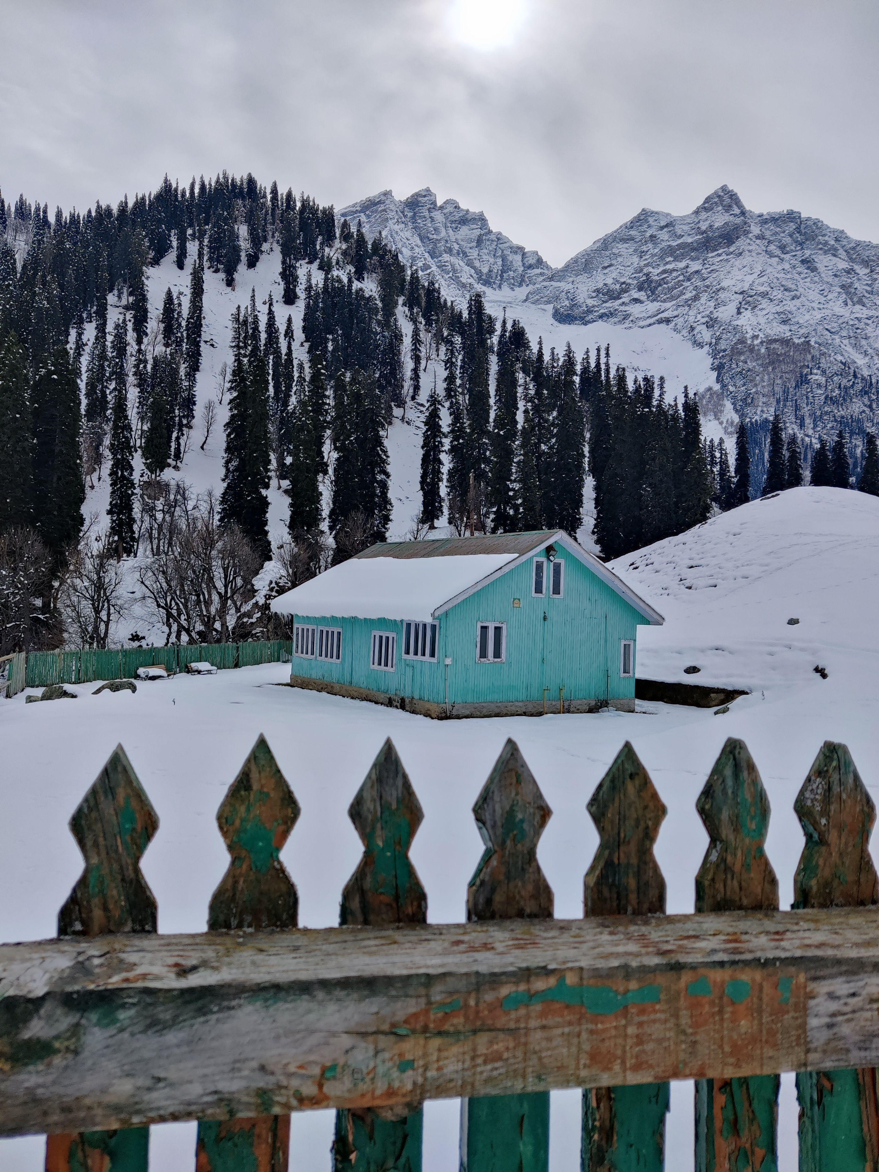 Serene Snowy Landscape in Gulmarg, Kashmir · Free Stock Photo