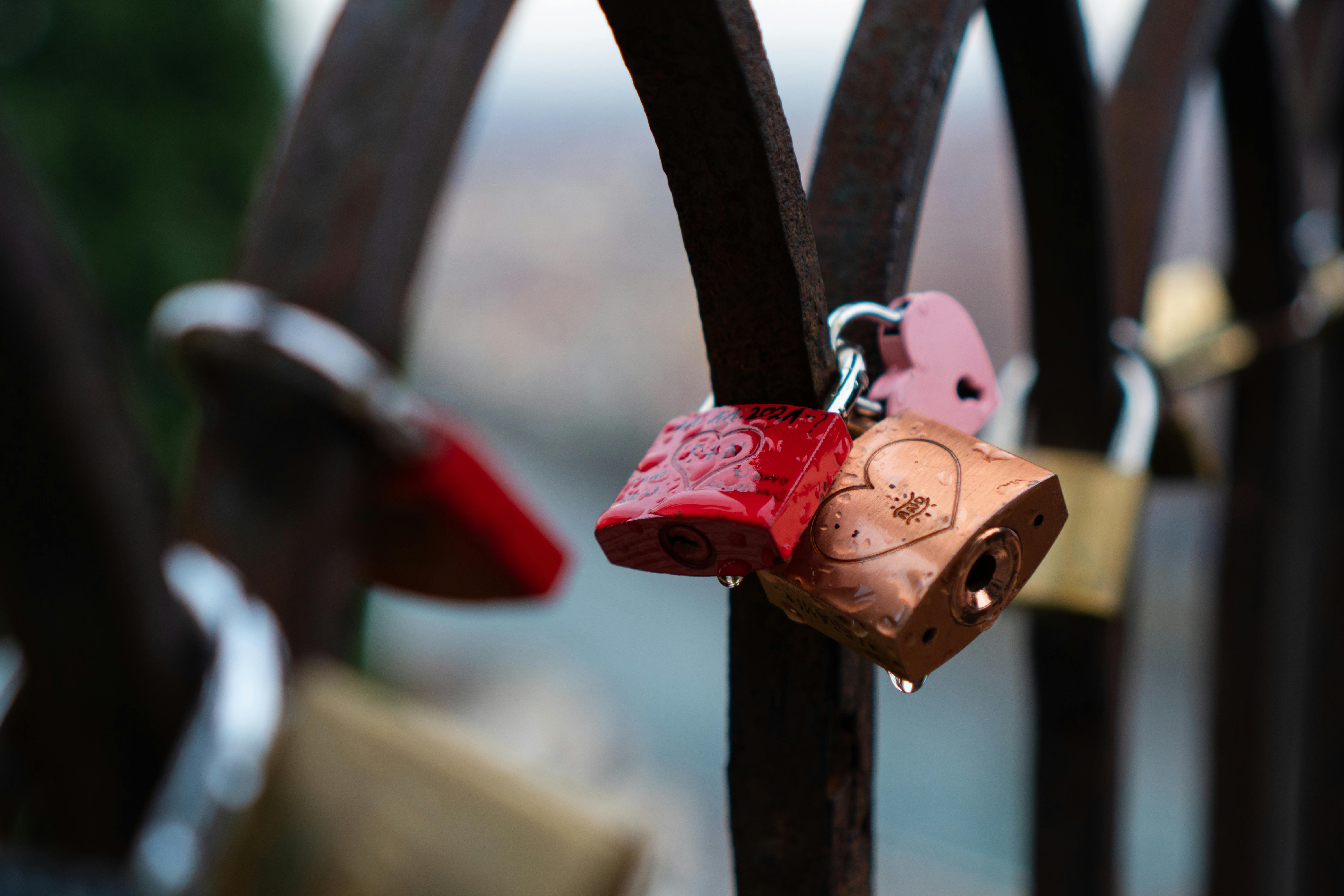 Close-up of Wet from Rain Love Locks on a Bridge · Free Stock Photo