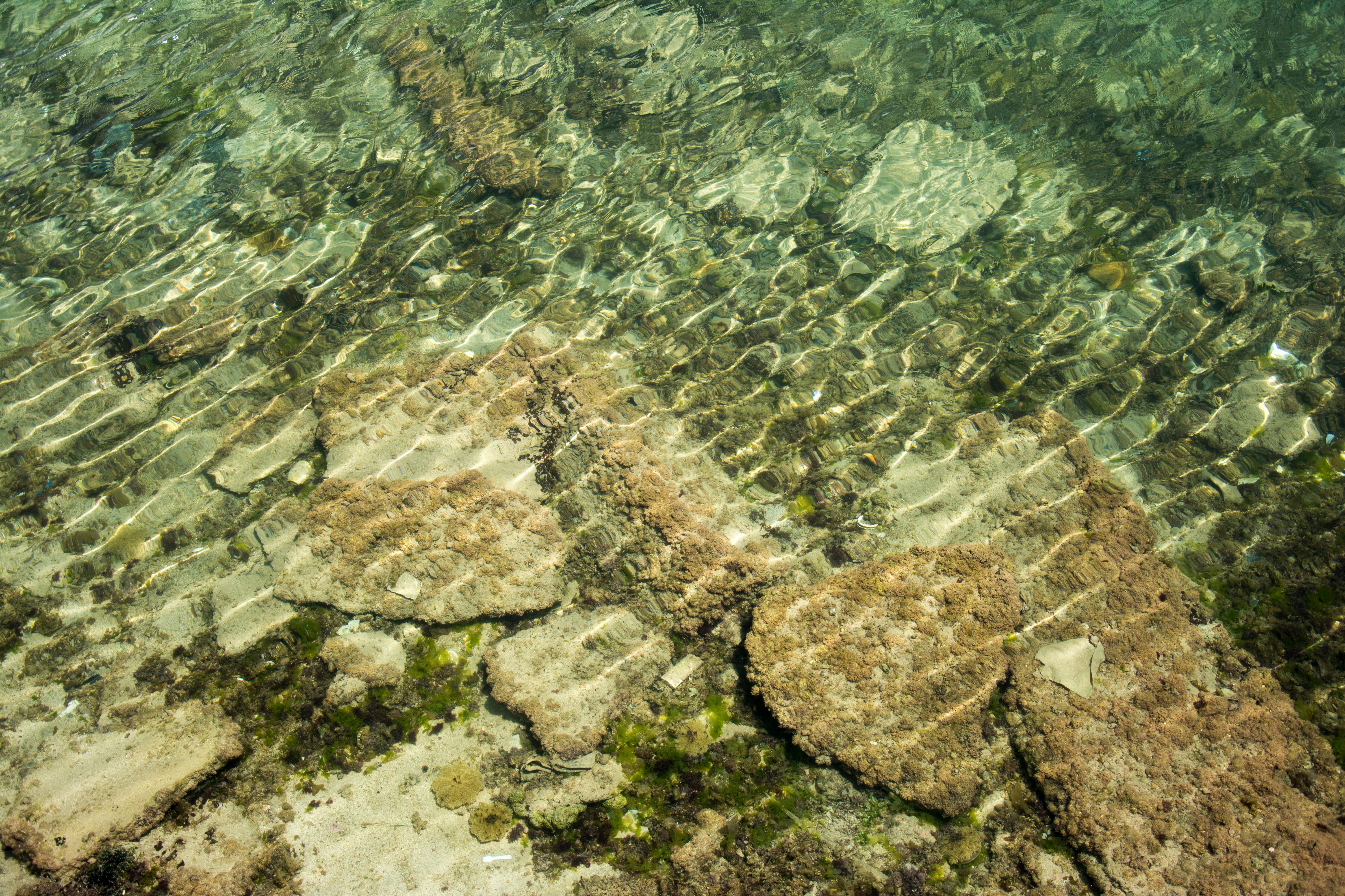 Rocks under Water · Free Stock Photo